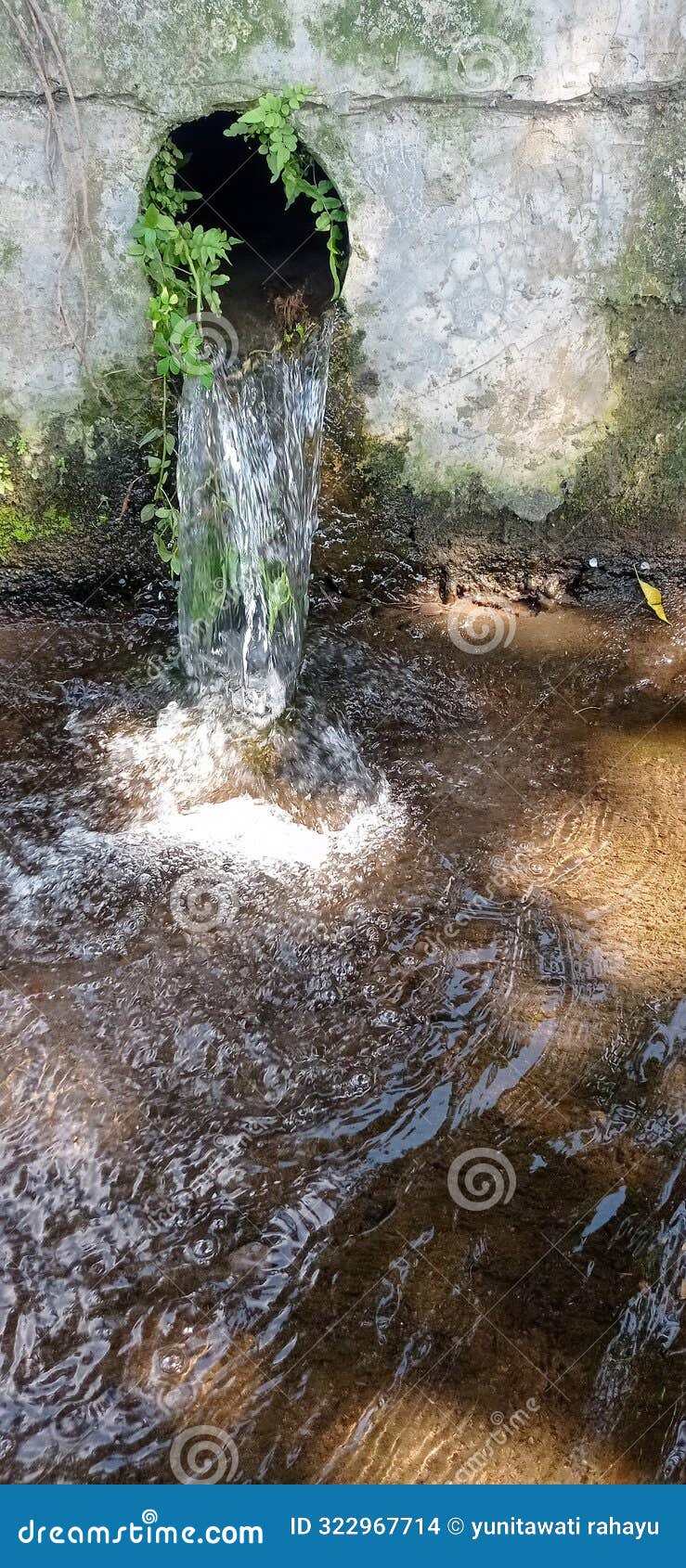 Rice Field Water Channels Flow into Rivers Stock Photo - Image of ...