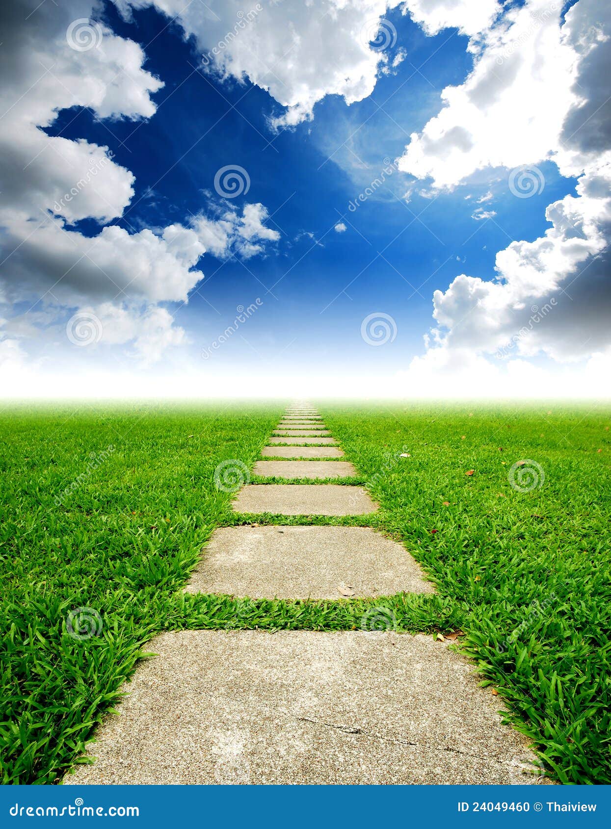 4,774 Rice Field Way Stock Photos - Free & Royalty-Free Stock Photos ...