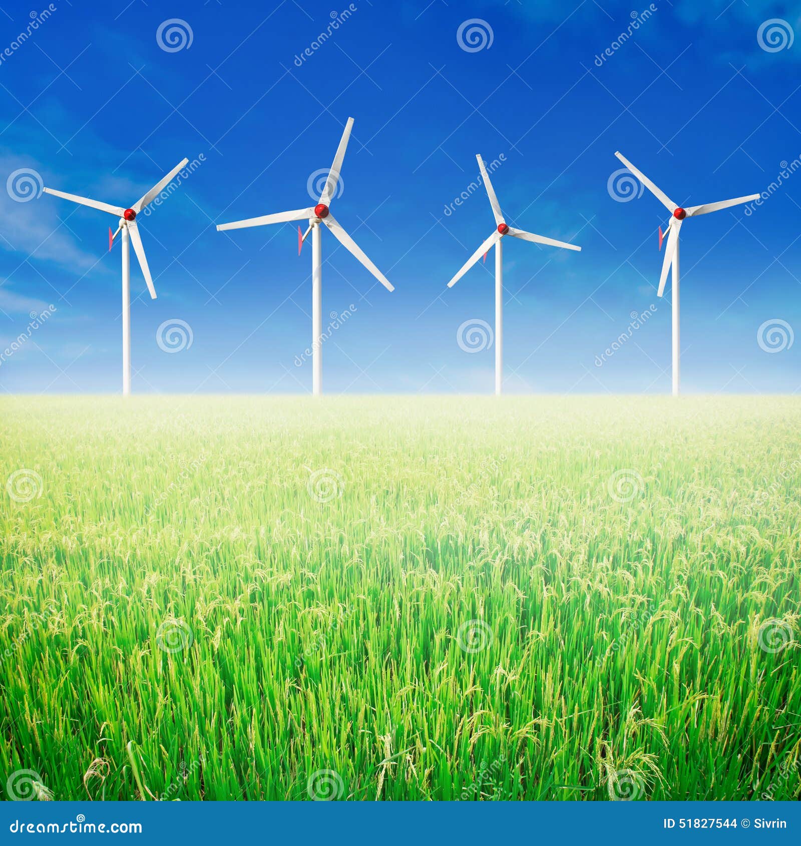 Rice Field and Wind Turbines. Stock Photo - Image of agriculture ...