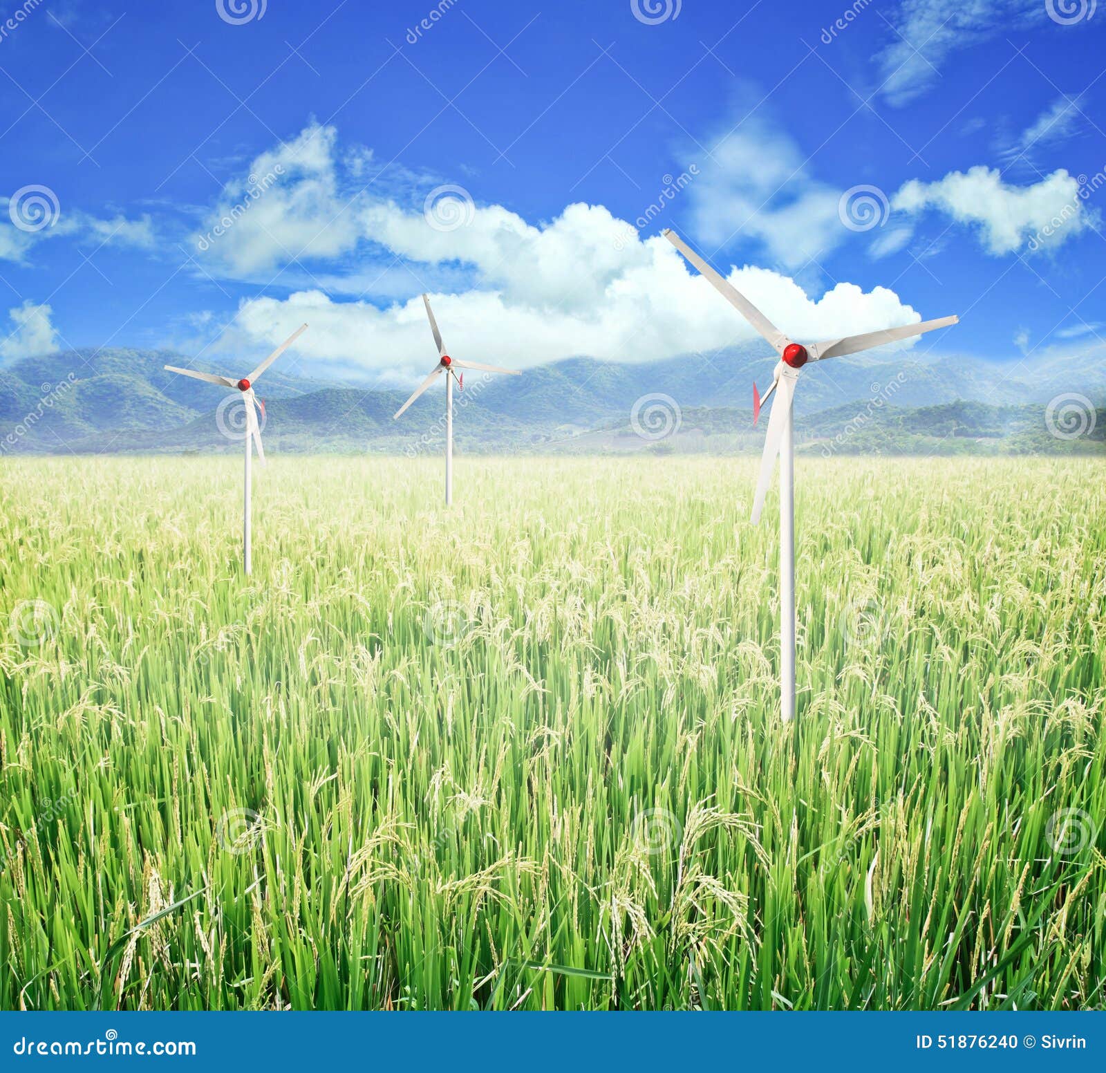 Rice Field and Wind Turbines. Stock Photo - Image of wind, harvest ...
