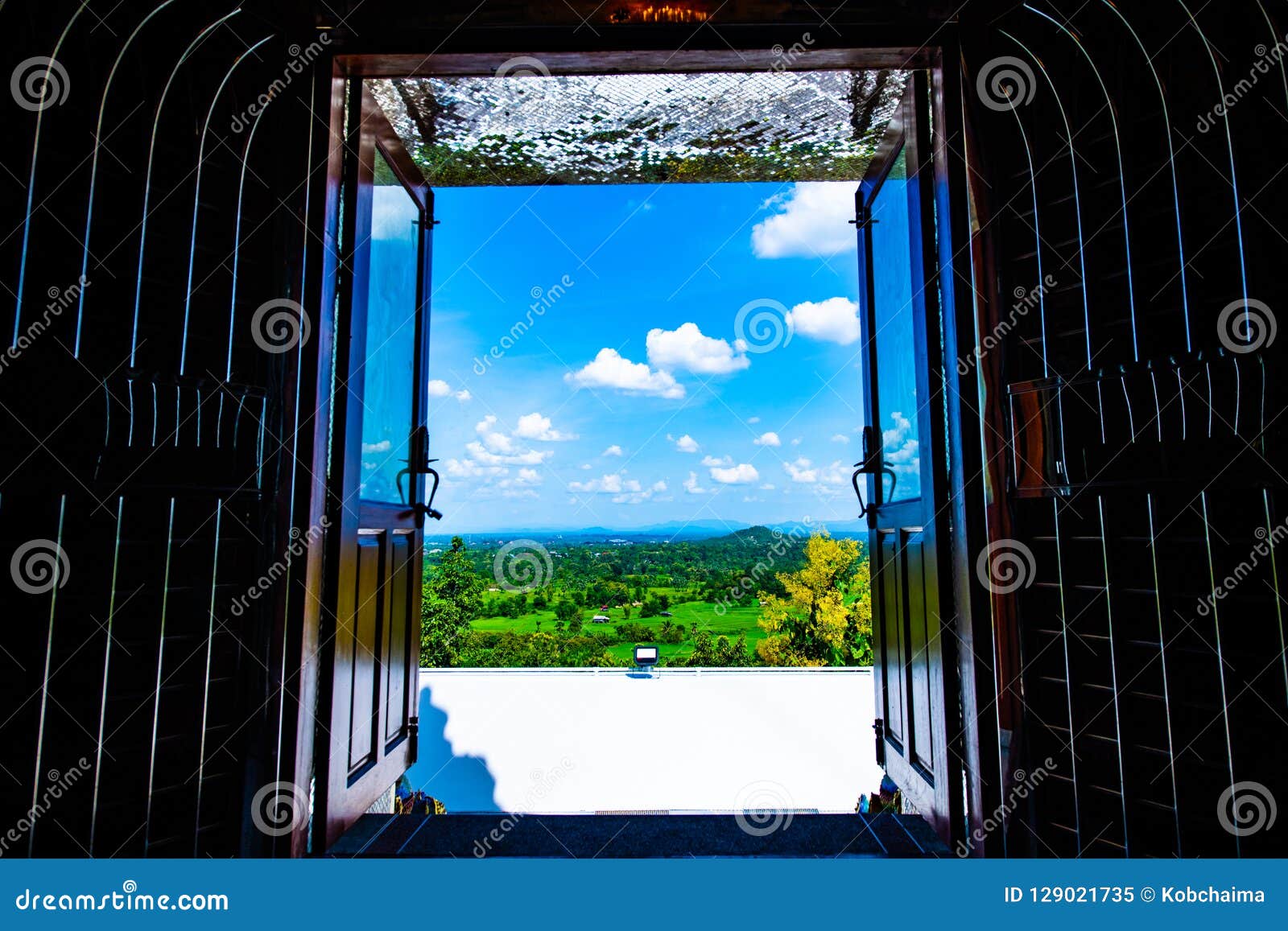 Rice Field in the Window Frame Stock Image - Image of grow, growth ...