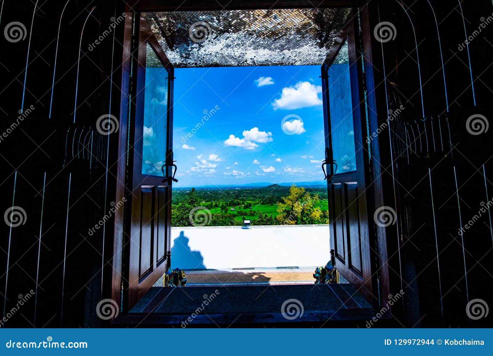 Rice Field in the Window Frame Stock Photo - Image of grow, harvest ...