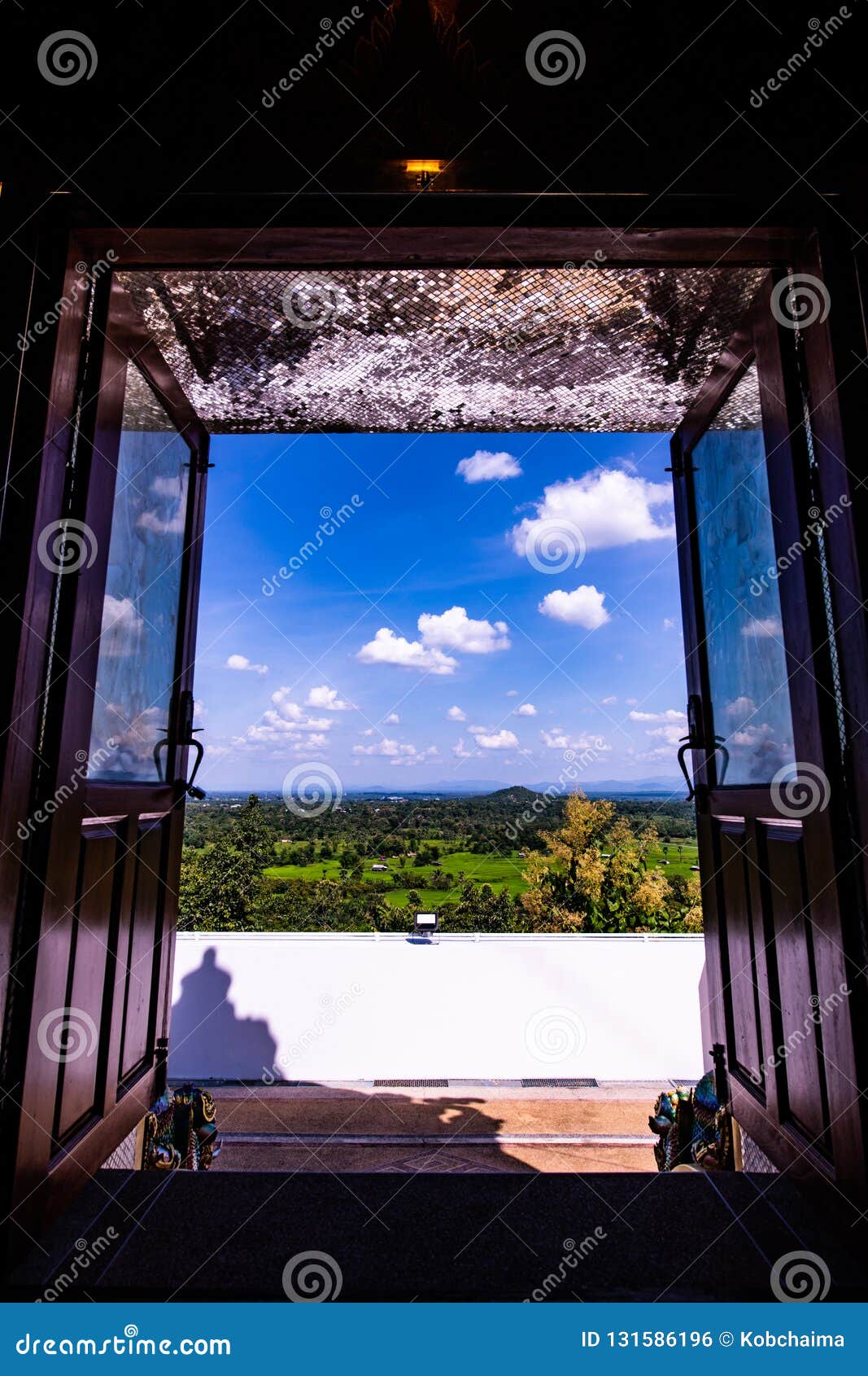 Rice Field in the Window Frame Stock Photo - Image of growth ...