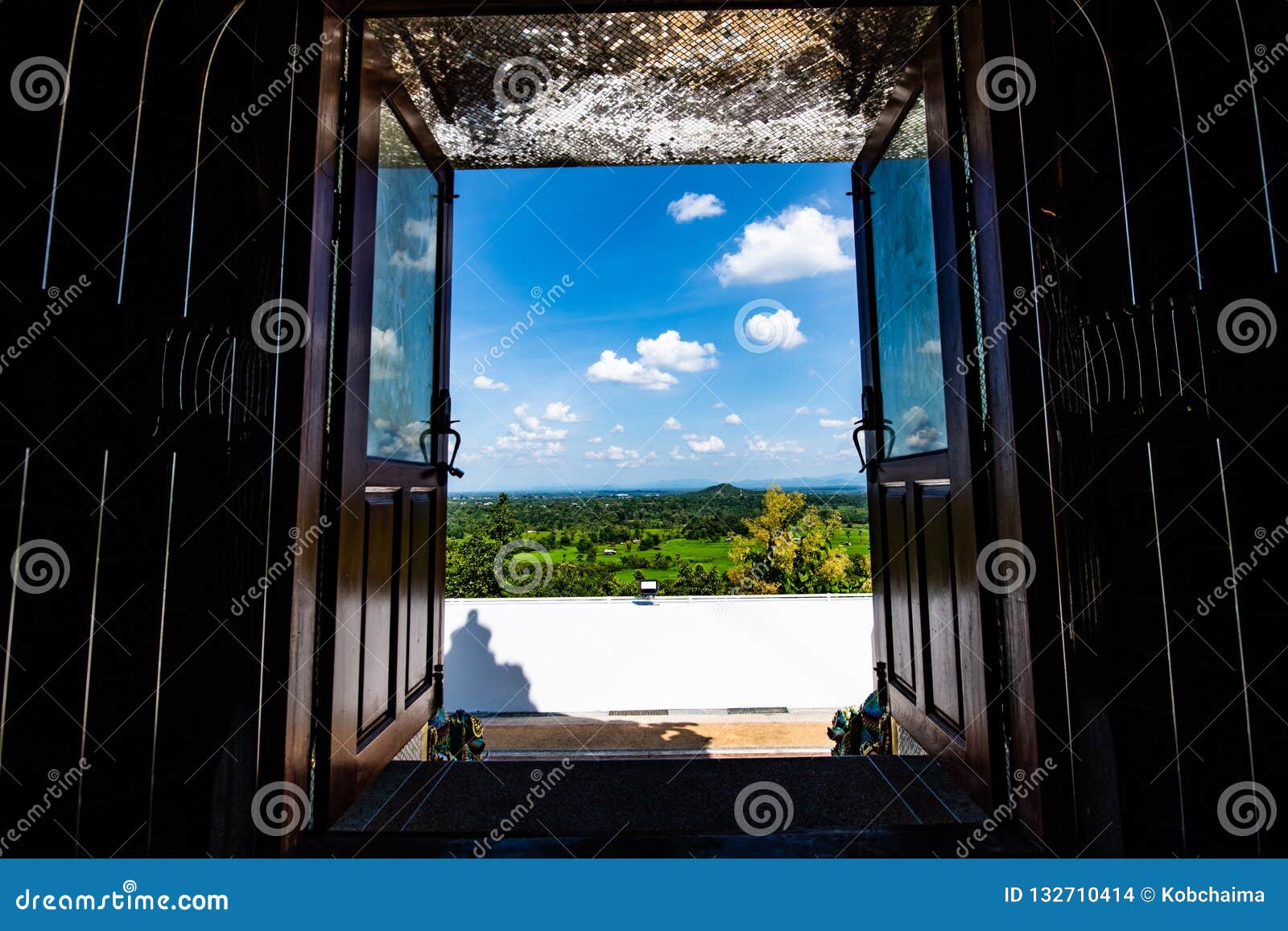 Rice Field in the Window Frame Stock Photo - Image of farm, grow: 132710414