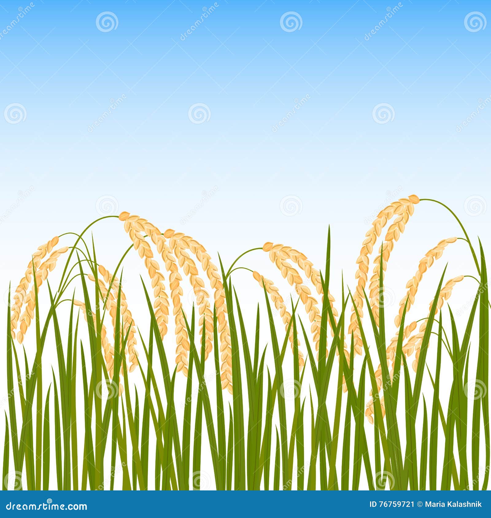 Rice field stock vector. Illustration of background, leaf - 76759721