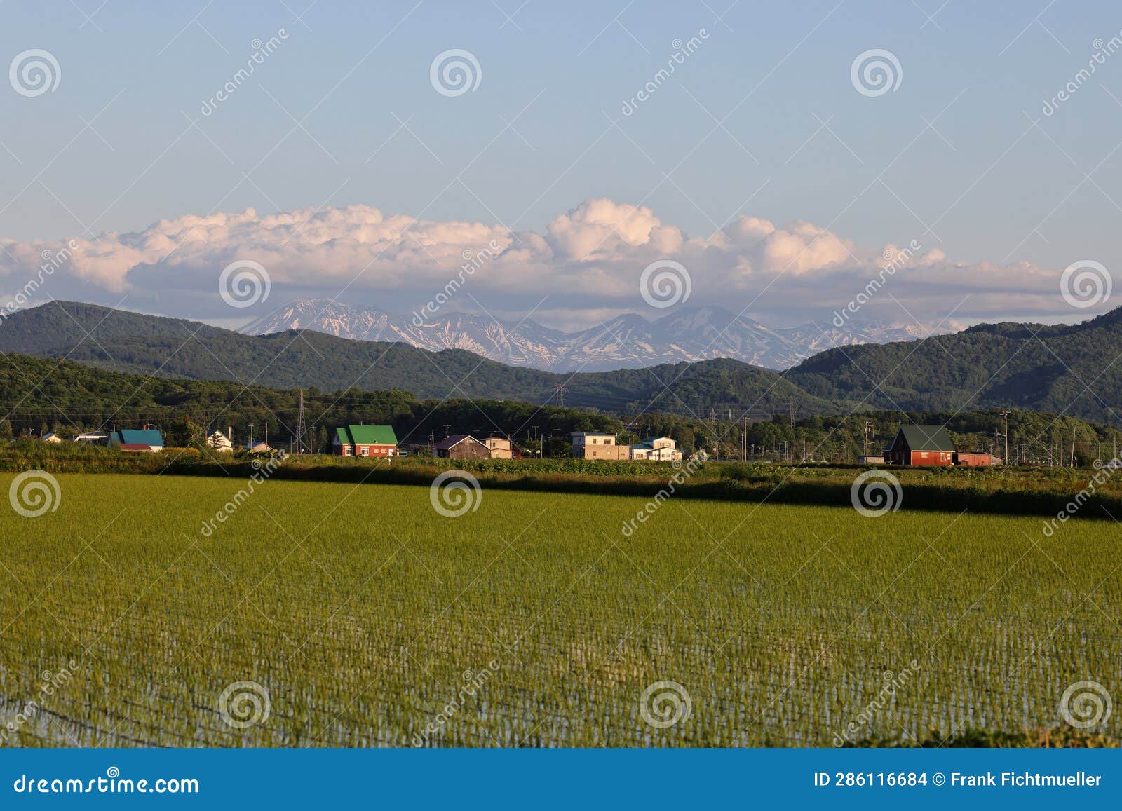 Rice Fields at Asahikawa Overlooking the Mountains of Daisetsuzan ...