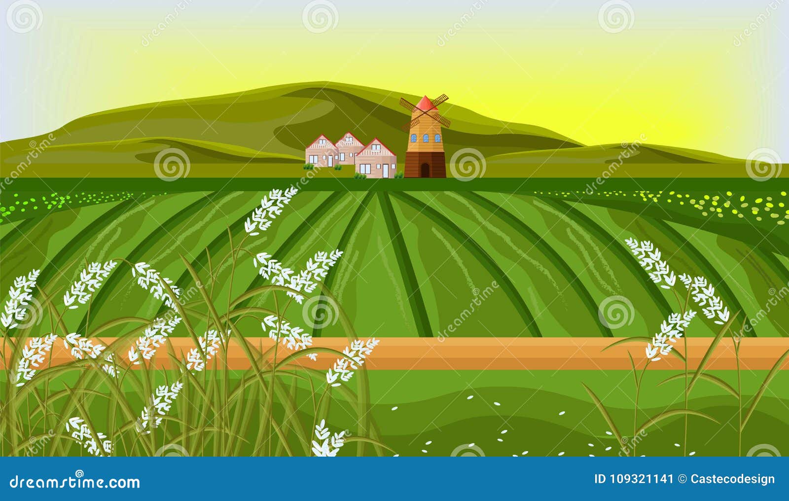 Rice Fields Farm Landscape Vector. Sunshine Background Illustrations ...