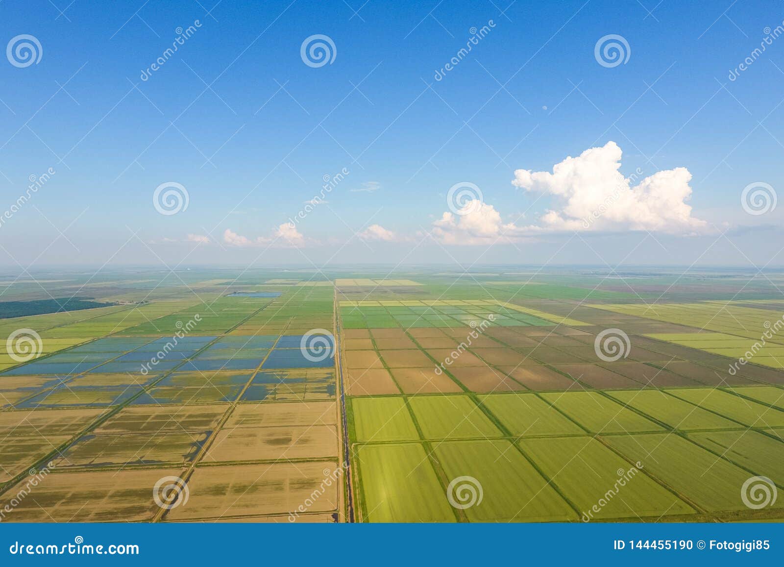 The Rice Fields are Flooded with Water. Flooded Rice Paddies Stock ...