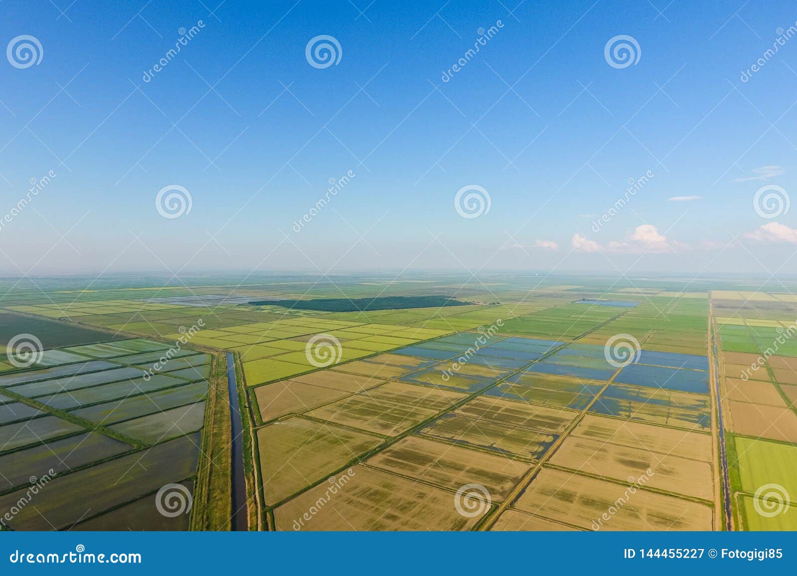 The Rice Fields are Flooded with Water. Flooded Rice Paddies Stock ...