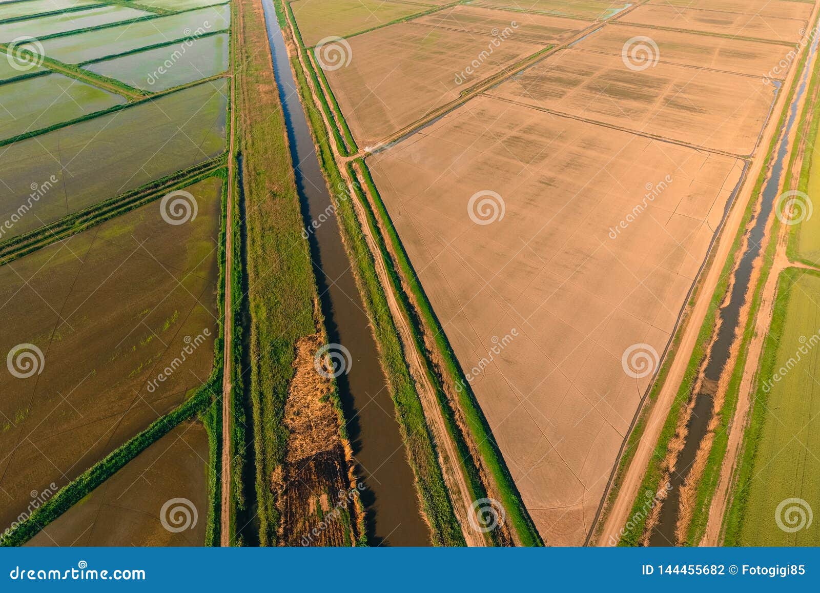 The Rice Fields are Flooded with Water. Flooded Rice Paddies Stock ...