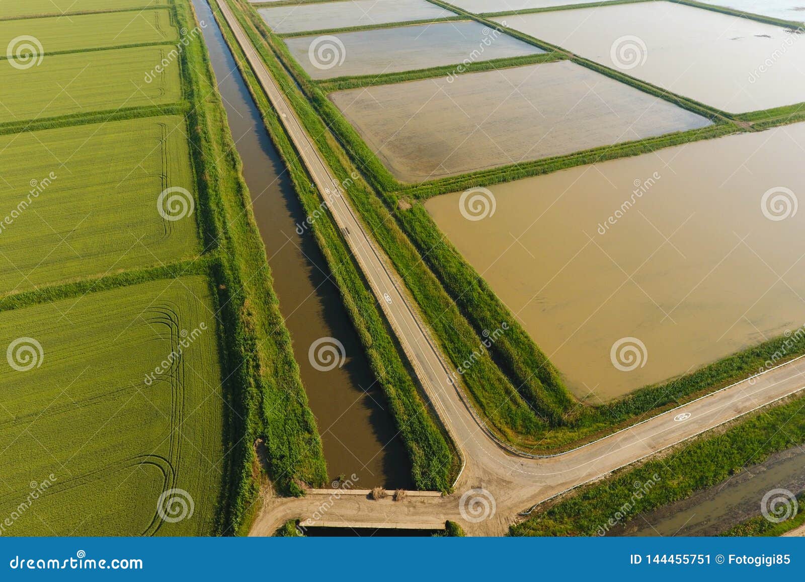 The Rice Fields are Flooded with Water. Flooded Rice Paddies Stock ...