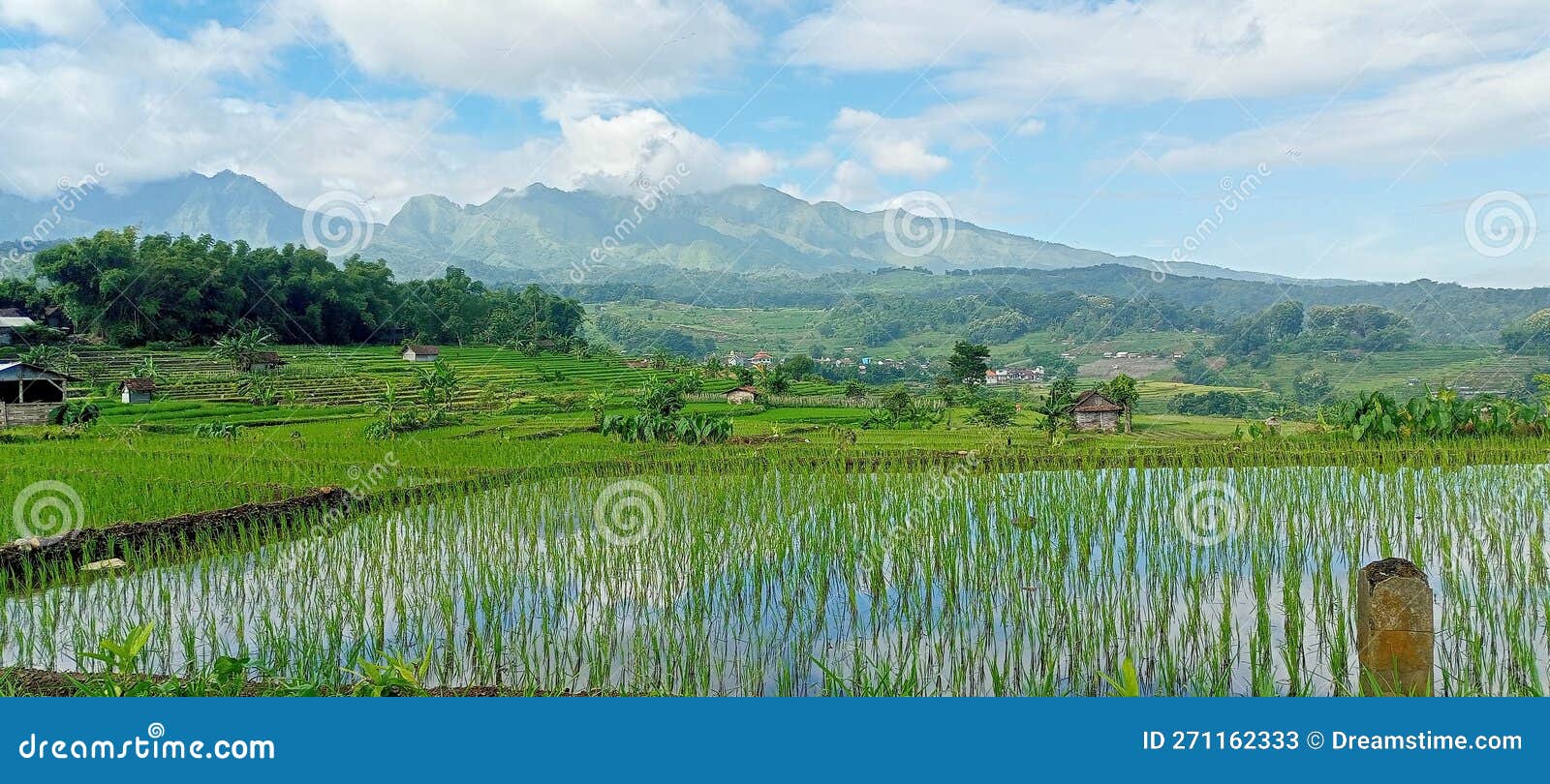 Rice Fields and Gardens Can Be Seen from a Distance at the Foot of the ...