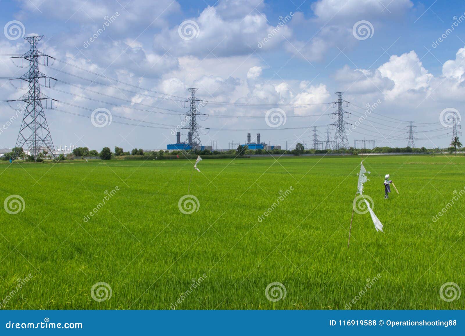 Rice Fields with High Power Lines. Stock Photo - Image of electric ...