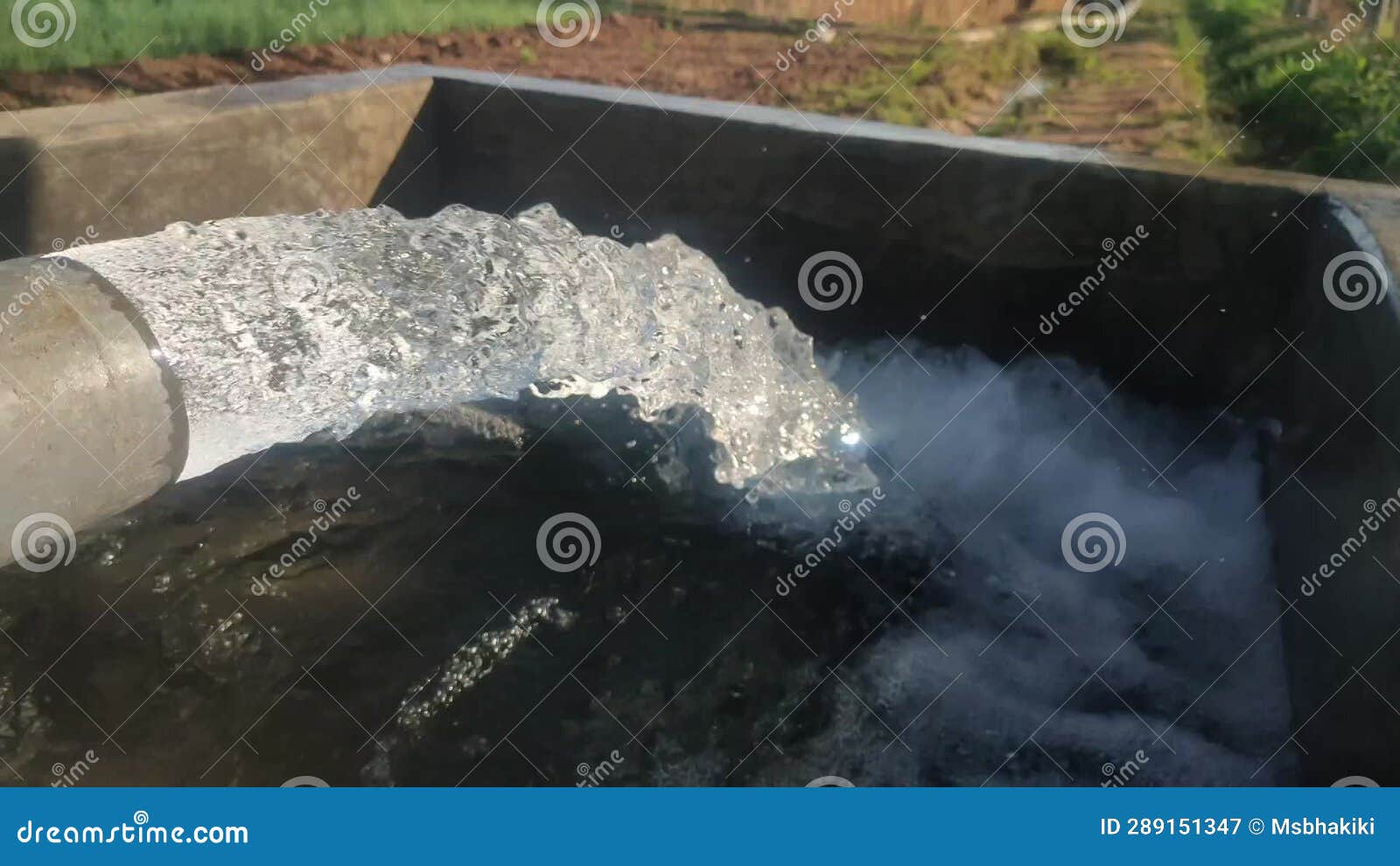 Clear Water Flows Profusely from the Irrigation Pipes of the Fields ...