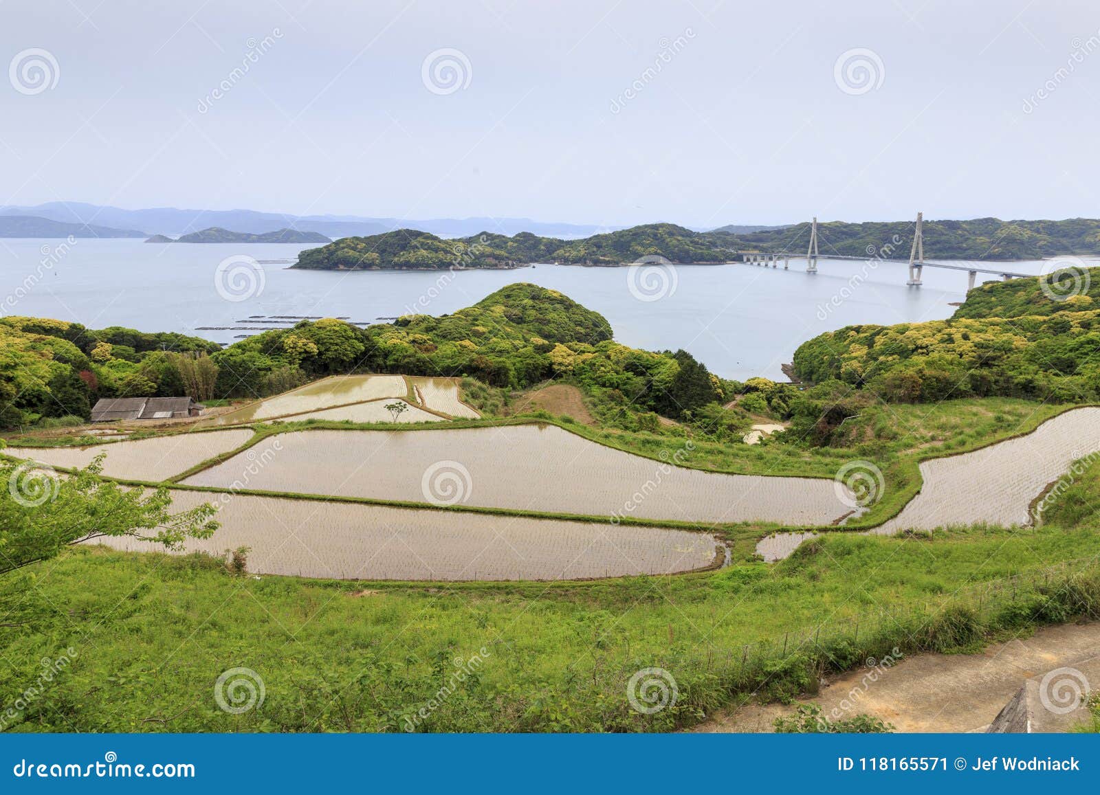 Rice fields in Kyushu stock image. Image of japan, agriculture - 118165571