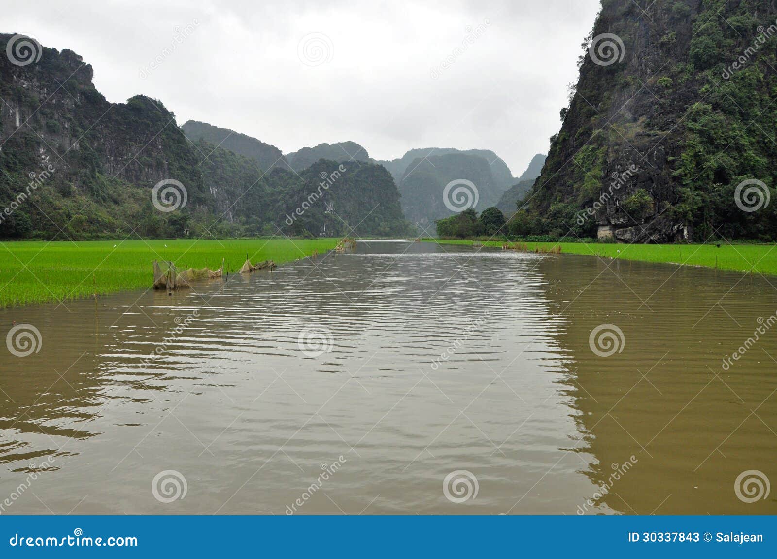 Rice Fields and Limestone Cliffs, Tam Coc, Vietnam Stock Image - Image ...