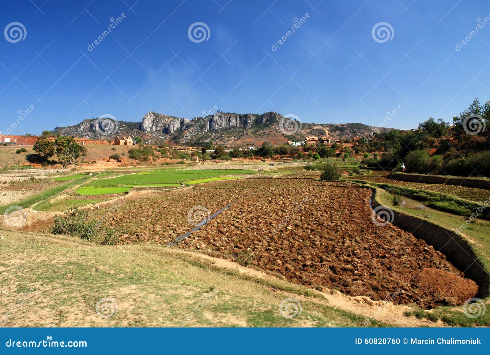Rice fields in Madagascar stock photo. Image of mountains - 60820760