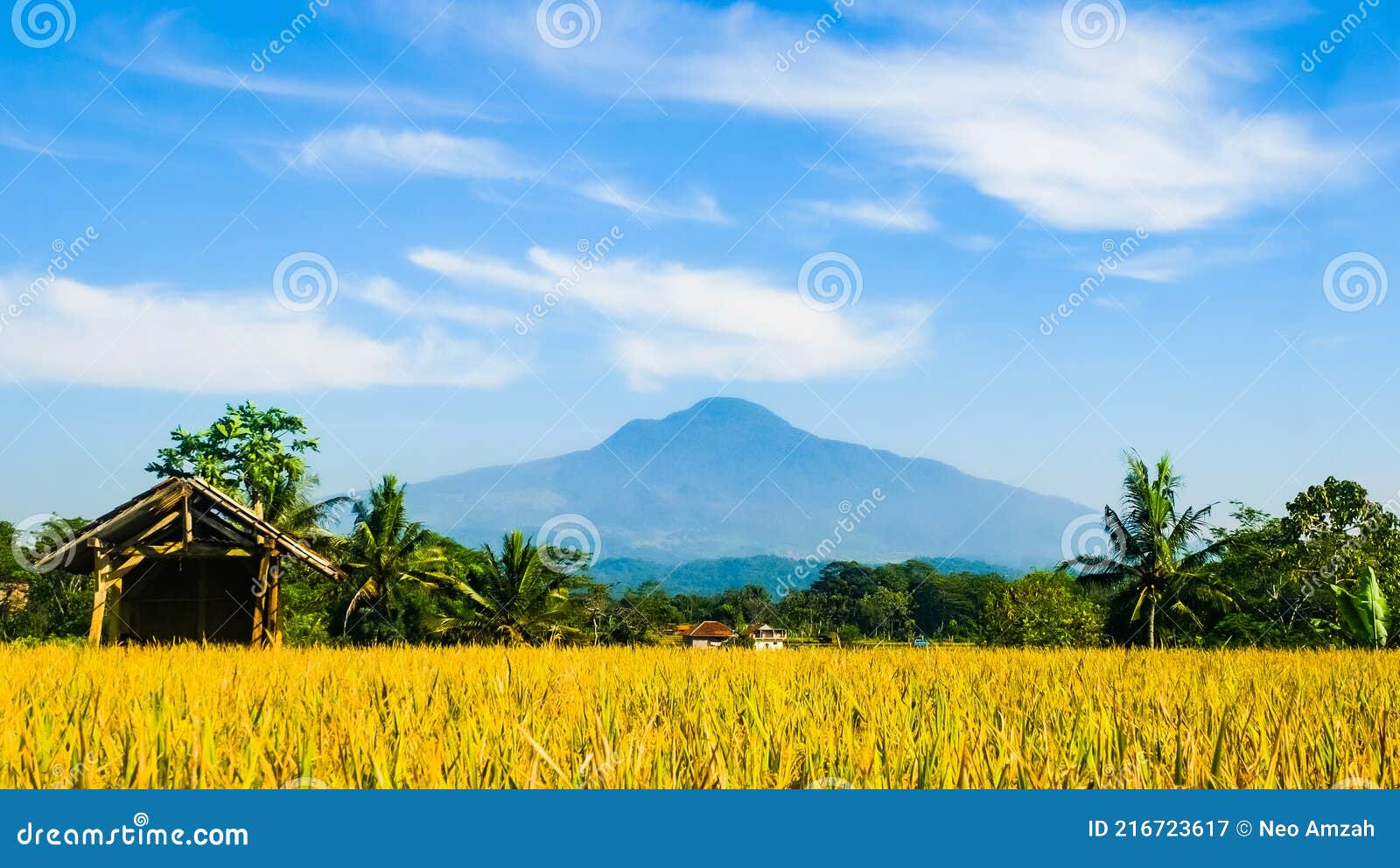 Rice Fields in the Mount Tampomas, Indonesia Stock Image - Image of ...