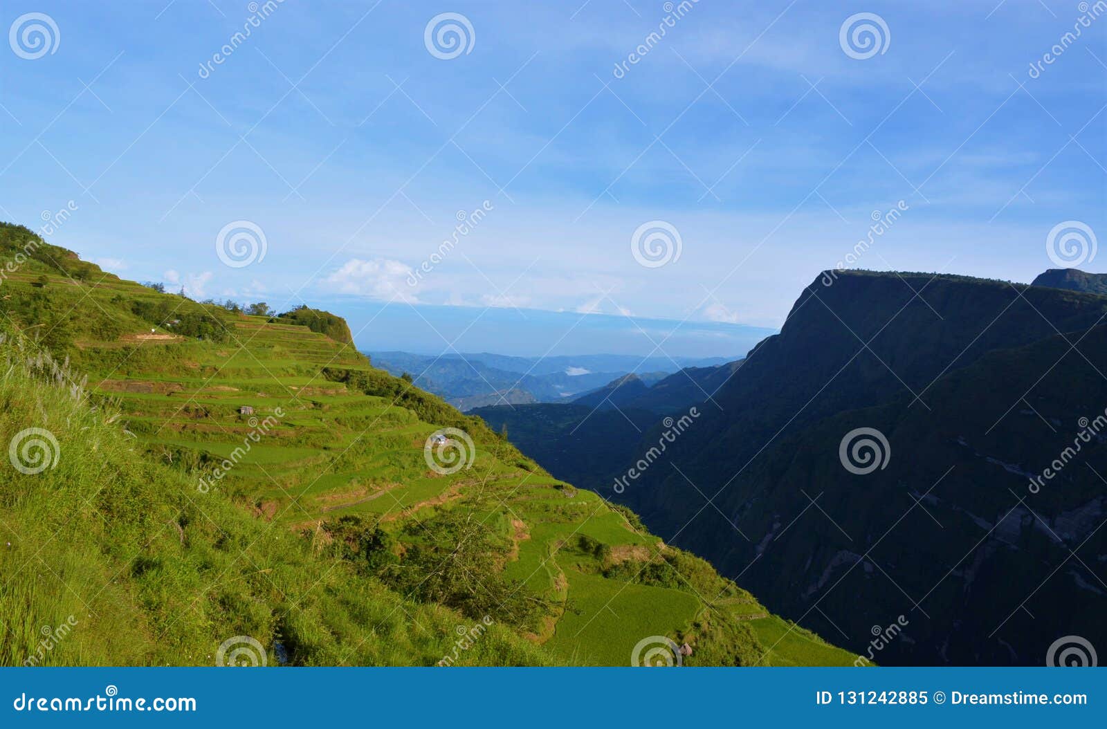 Rice Fields in the Mountain Stock Image - Image of mountain, fields ...