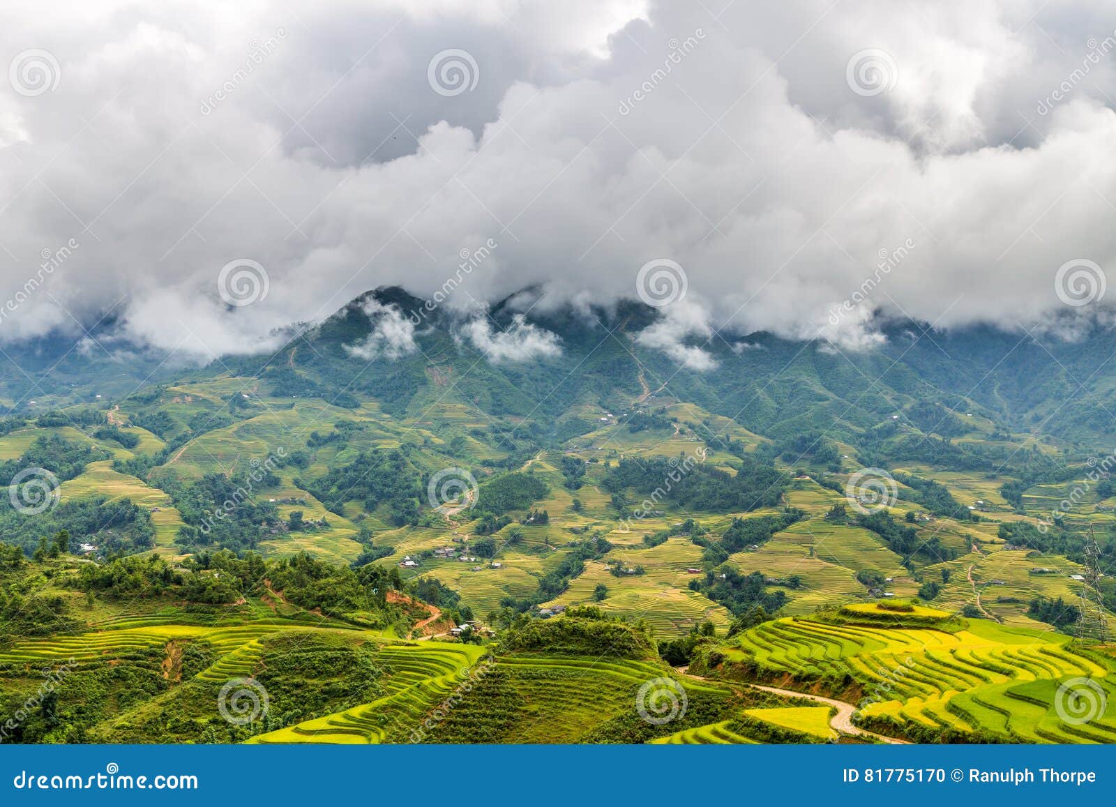 Rice Fields and Mountains in the Clouds Stock Photo - Image of colour ...