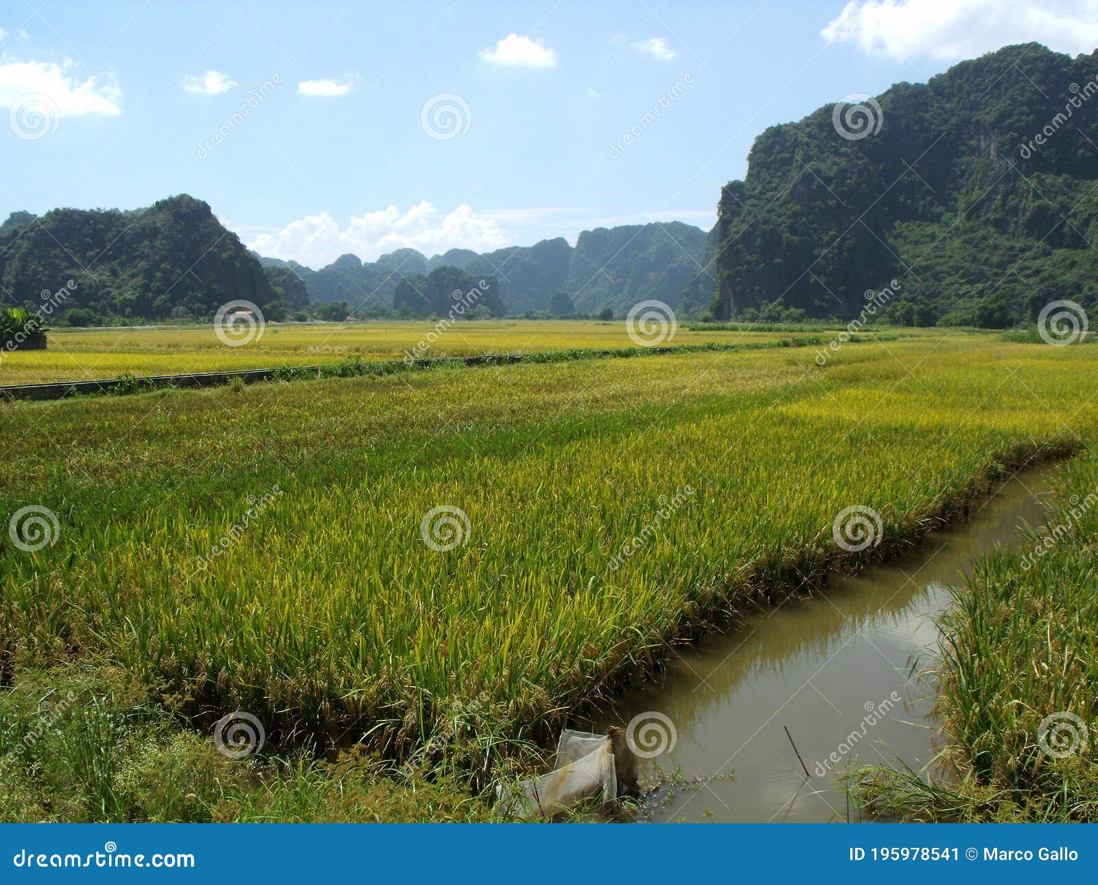 Rice Fields between Mountains in Tam Coc, Vietnam Stock Image - Image ...