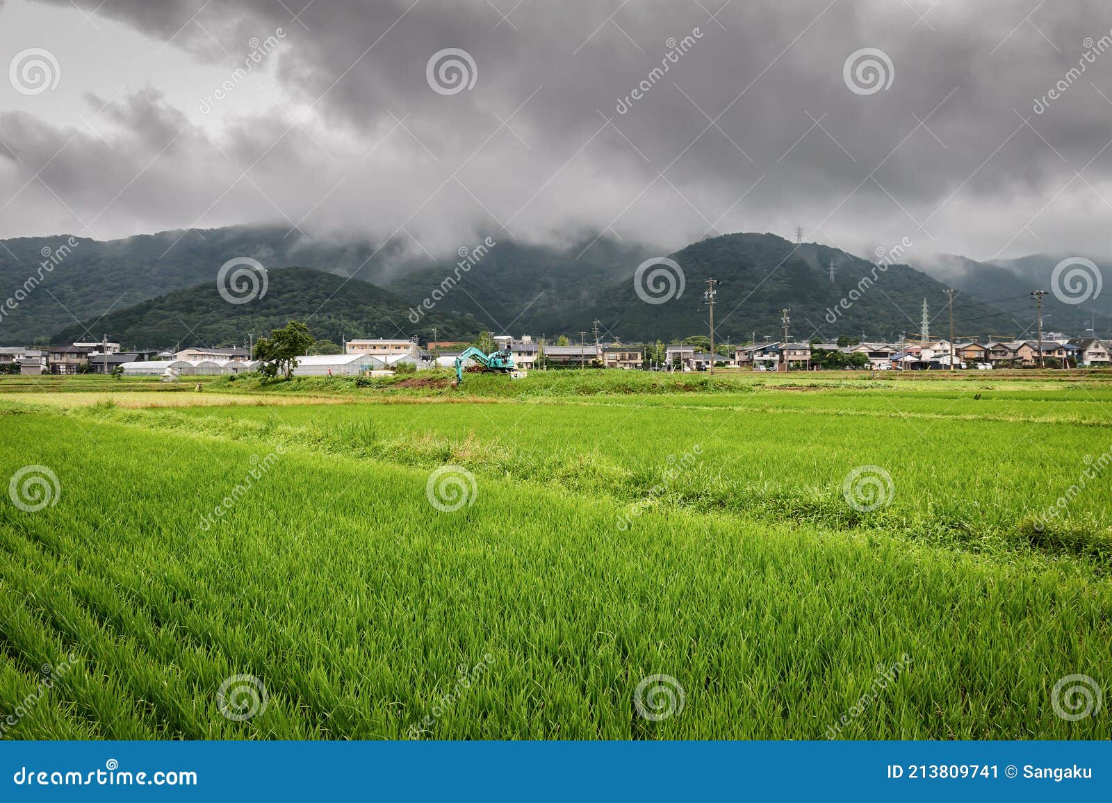 Rice Fields in Northern Kobe-Hyogo, Japan Stock Image - Image of cloudy ...