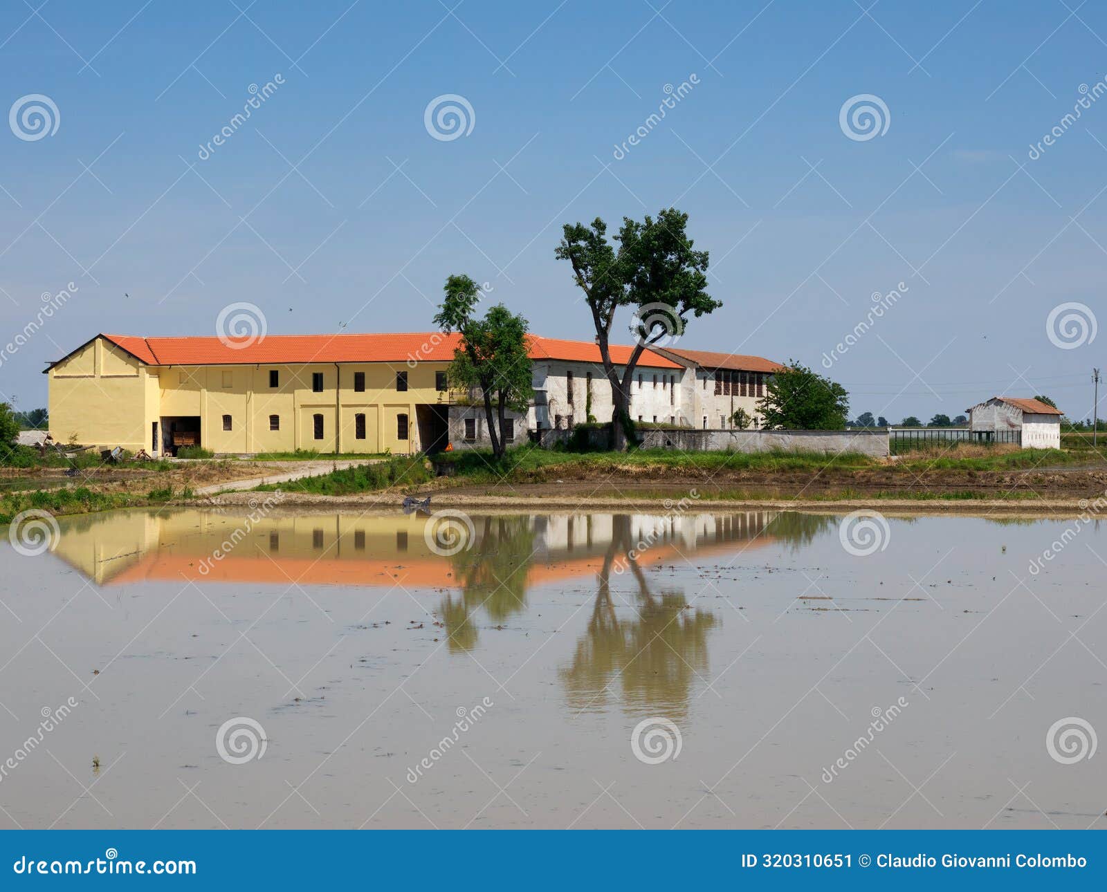 Rice Fields in Novara Province, Italy Stock Image - Image of italy ...