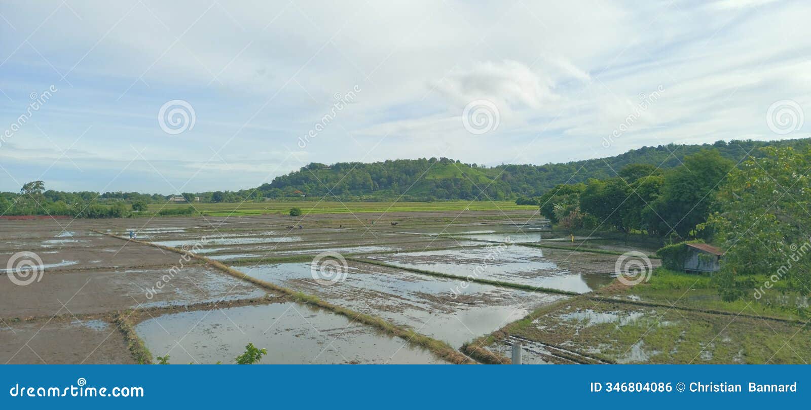 The Rice Fields of Pampanga in the Philippines, Very Serene and ...