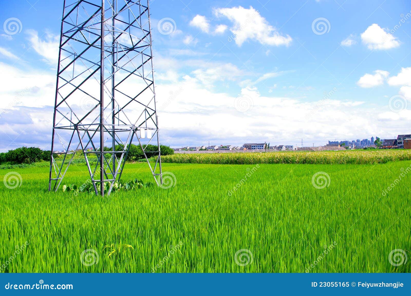 Rice Fields and Power Tower Stock Image - Image of communication ...