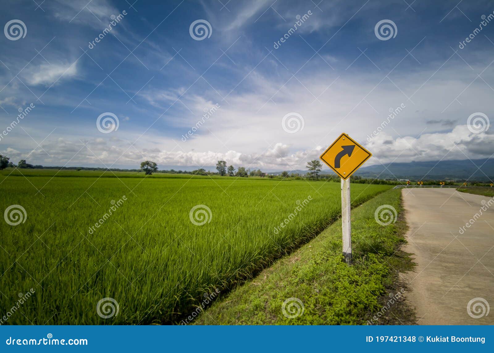 Rice fields with signpost stock photo. Image of concept - 197421348
