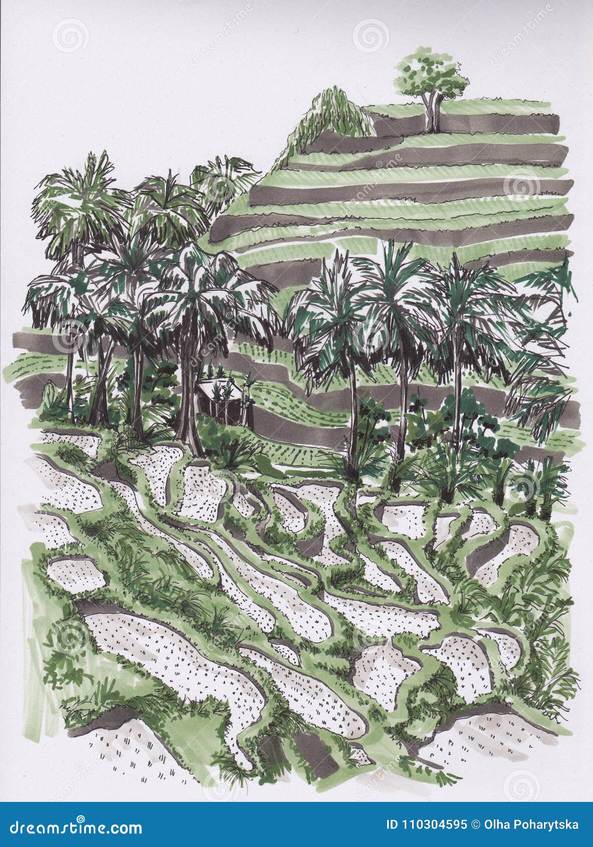 Rice fields. Sketch. stock illustration. Illustration of markers ...