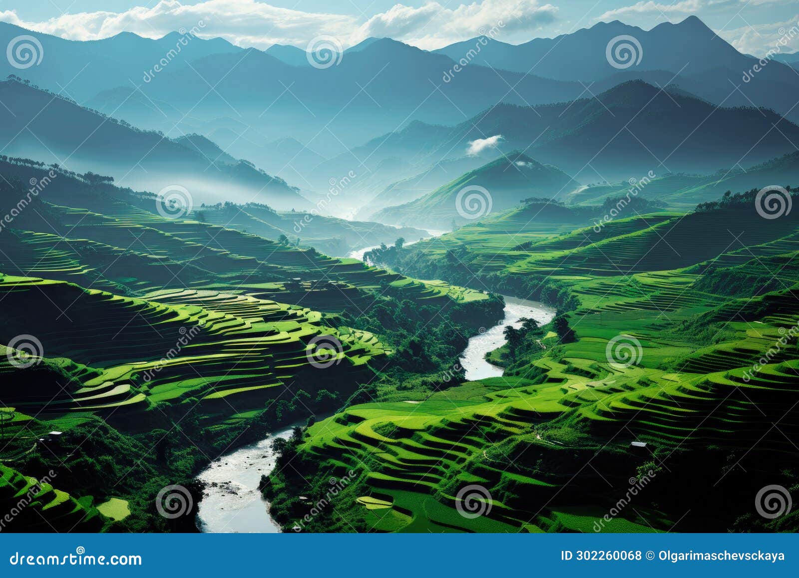 Rice Fields Stretching Across Mountainside Stock Illustration ...