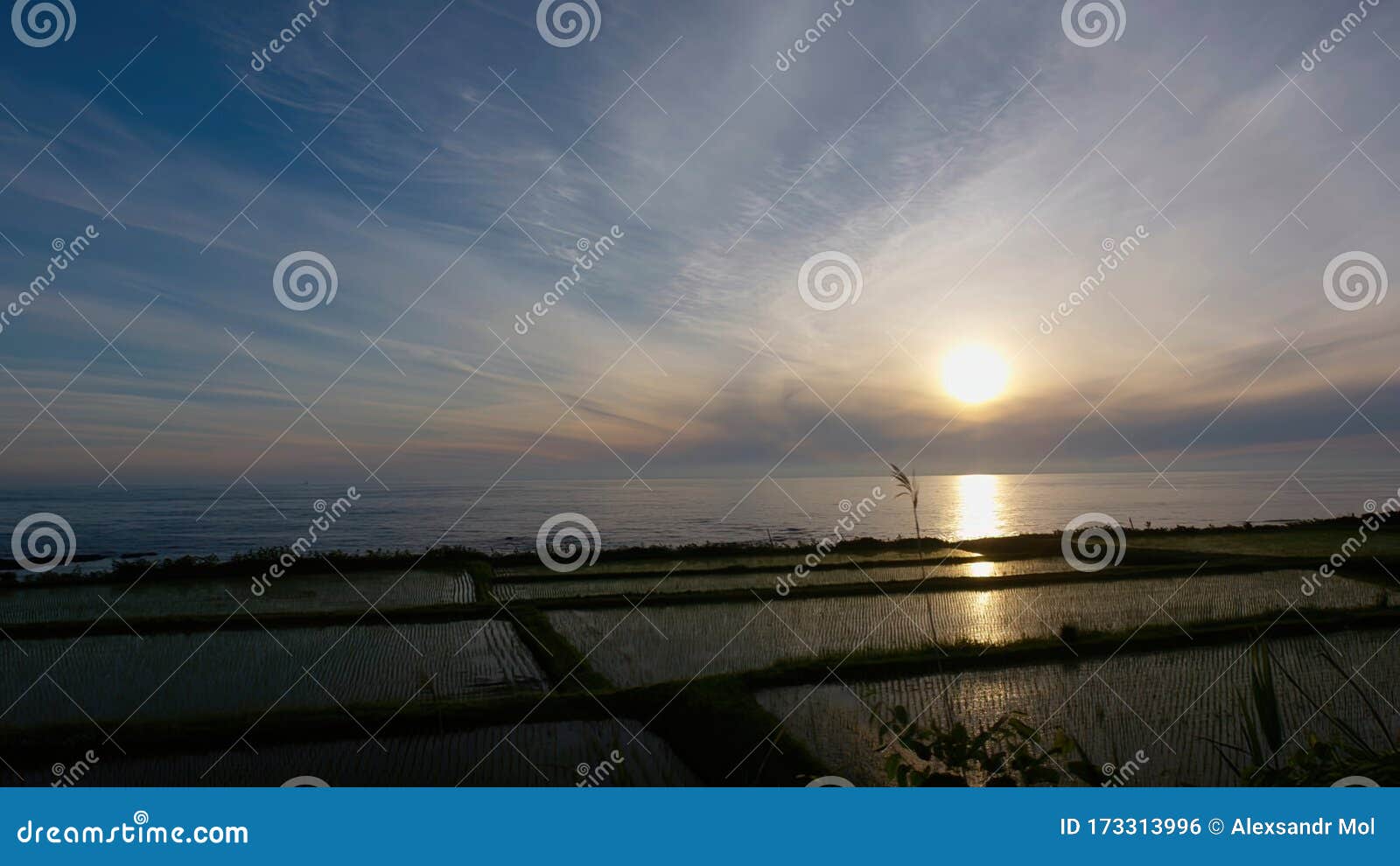 Rice Fields at Sunset in Japan Stock Photo - Image of local, china ...