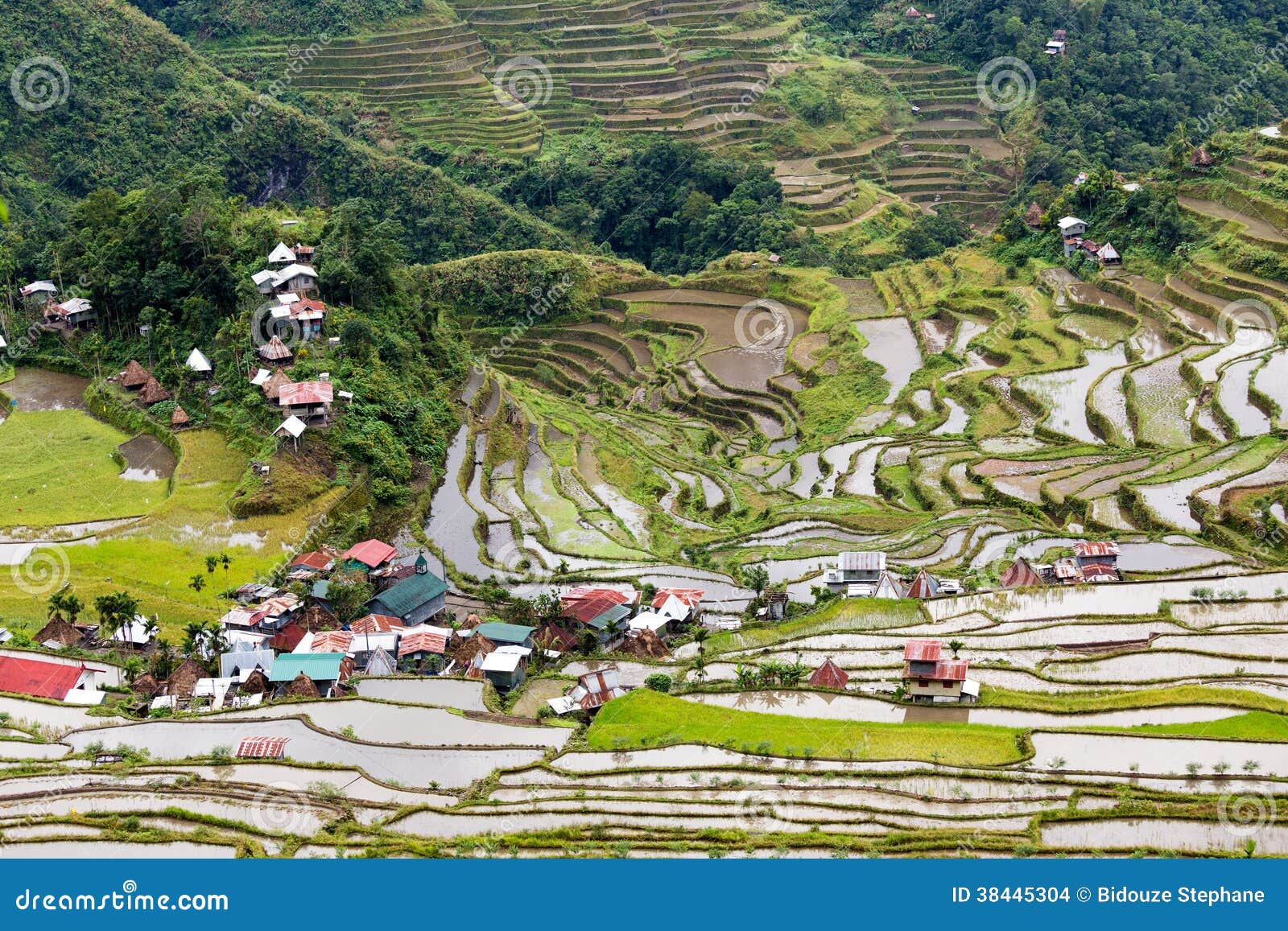 Rice Fields Terraces in Philippines Stock Photo - Image of luzon ...