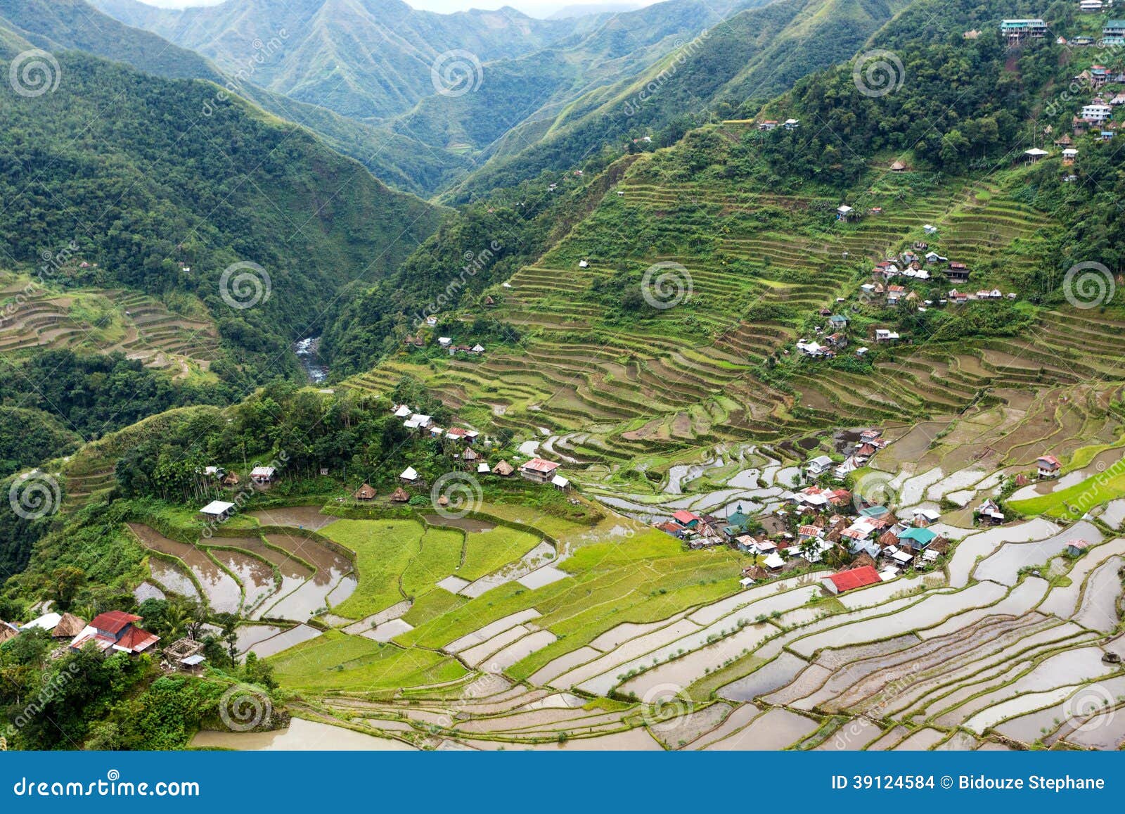 Rice Fields Terraces in Philippines Stock Photo - Image of scenery ...