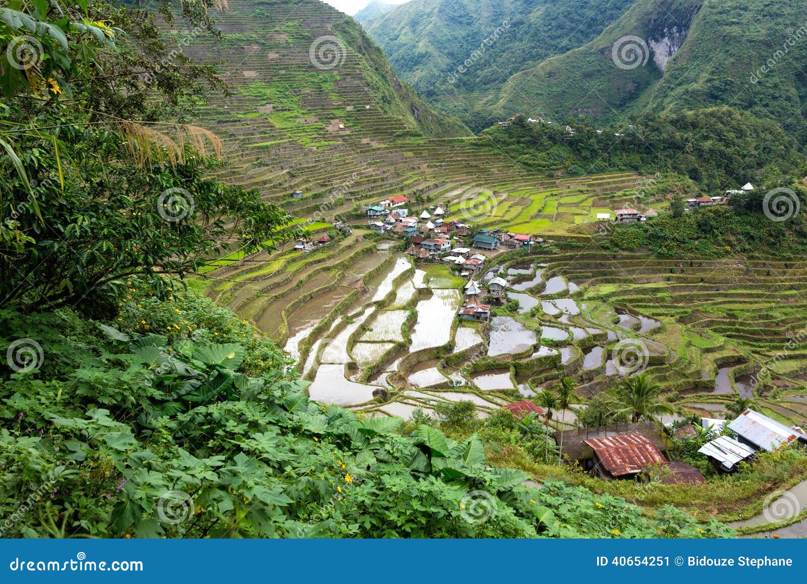 Rice Fields Terraces in Philippines Stock Image - Image of outdoors ...