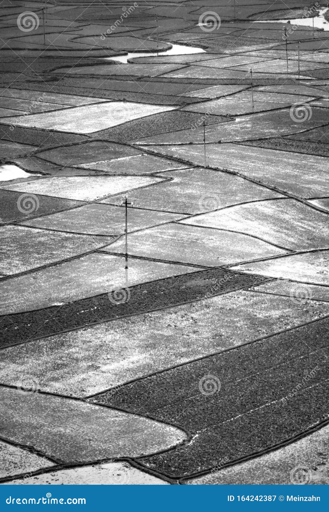 Rice Fields with Water in Small Parcels Stock Image - Image of water ...
