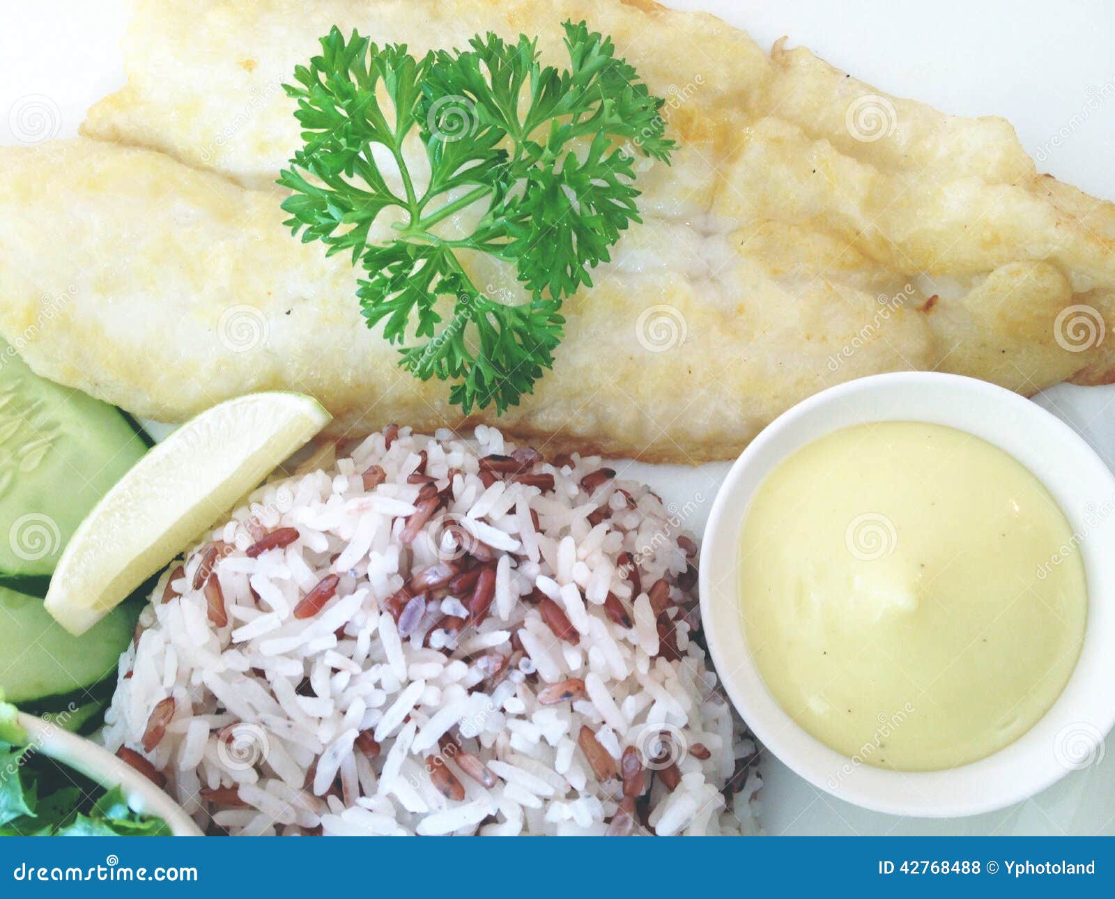 Rice with fish stock photo. Image of menu, fish, healthy - 42768488