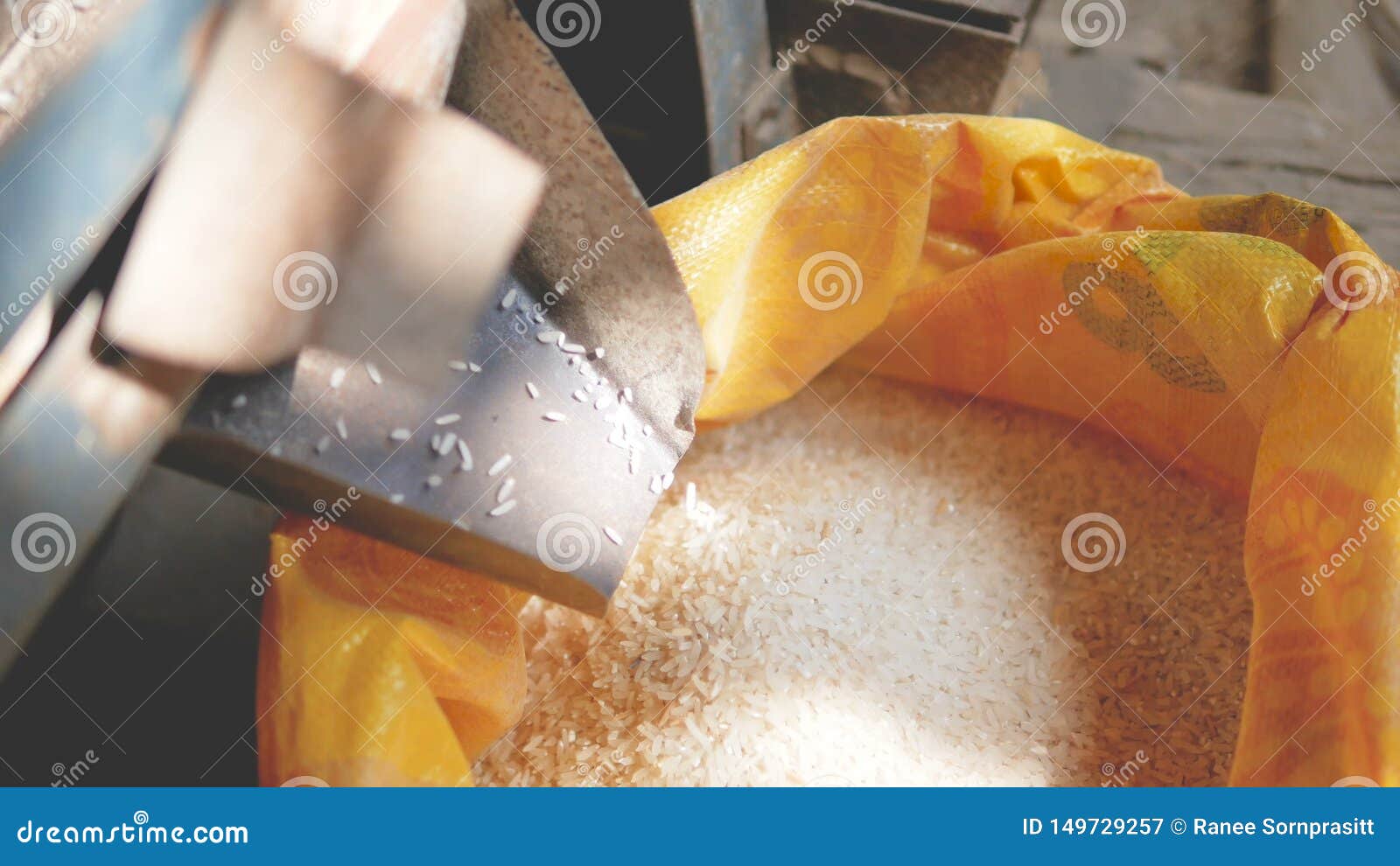 Rice Flowing in the Yellow Sack Stock Video - Video of falling ...