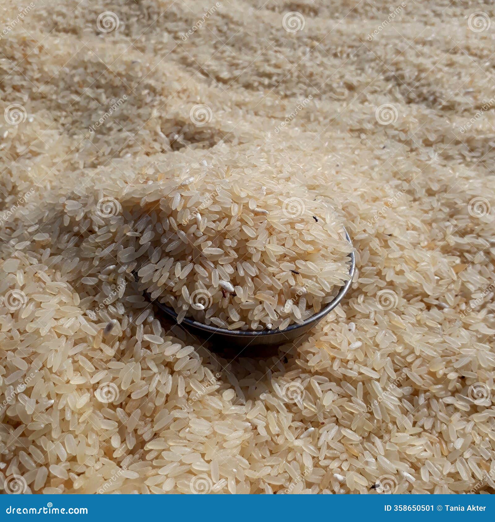 Rice food stock image. Image of icing, dish, meal, agriculture - 358650501