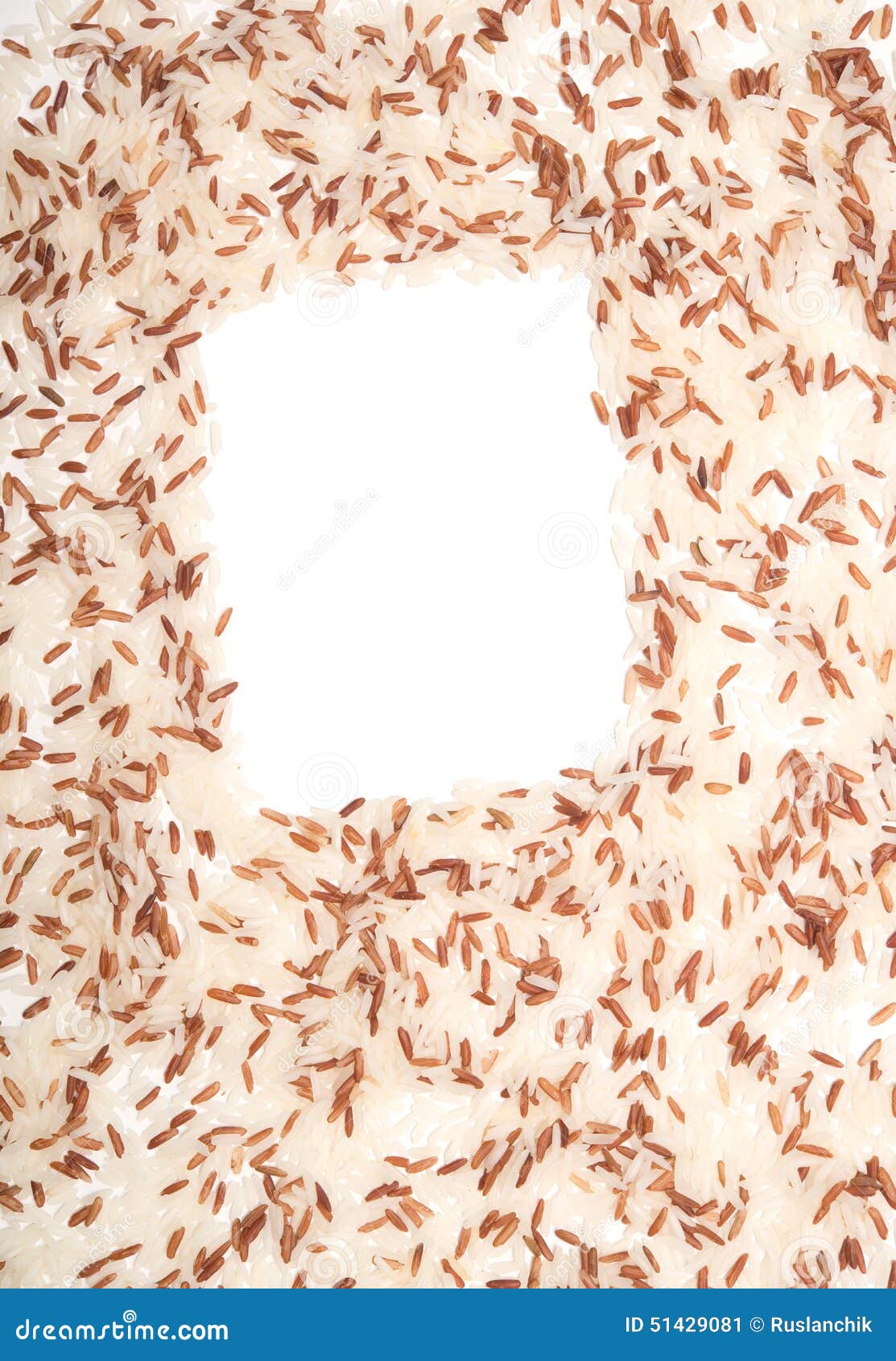 Rice frame stock image. Image of herb, beautiful, grain - 51429081