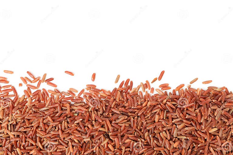 Rice Frame Isolated on White Background Stock Photo - Image of closeup ...