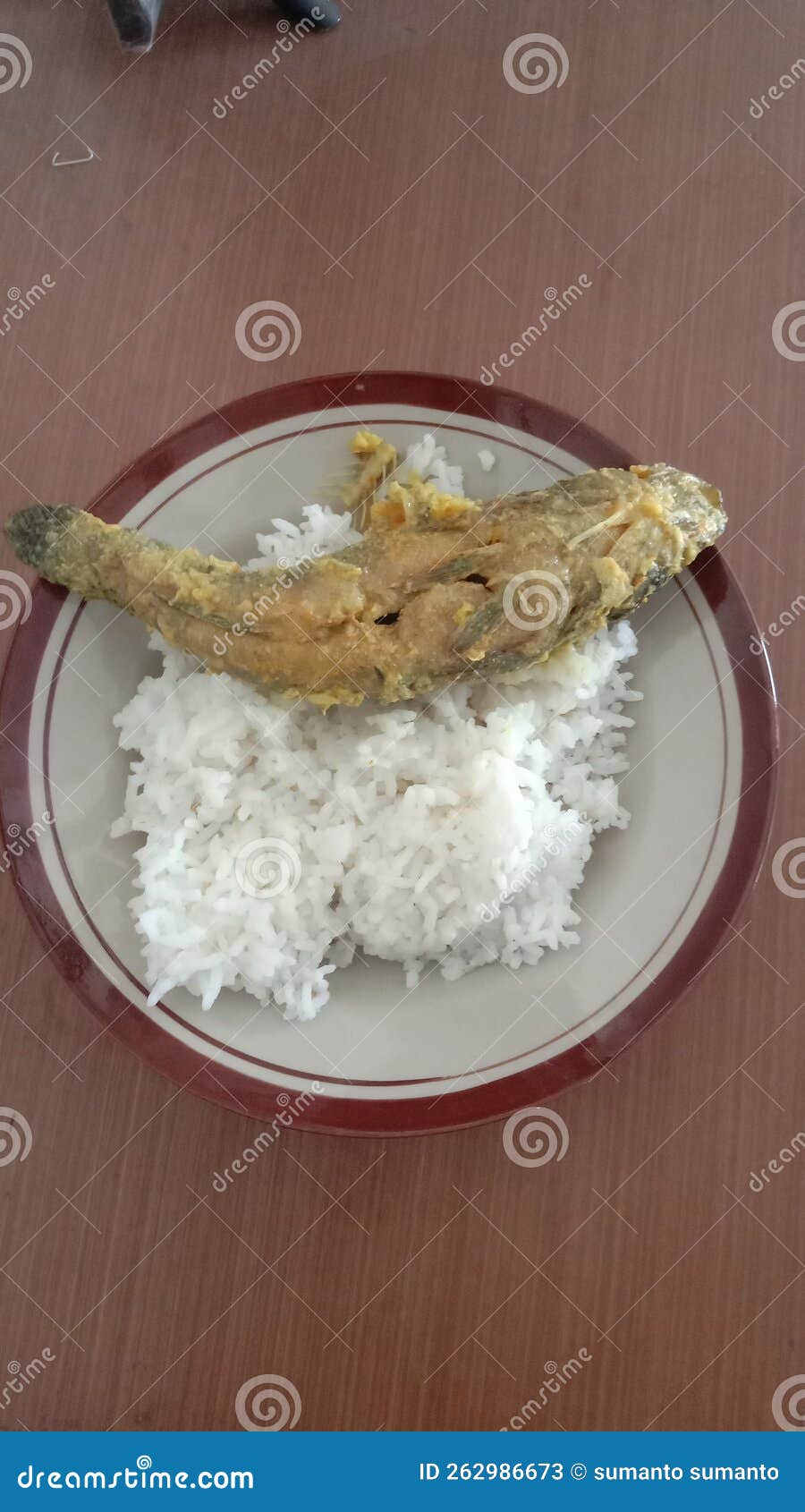 Rice and fried fish stock image. Image of fish, healty - 262986673