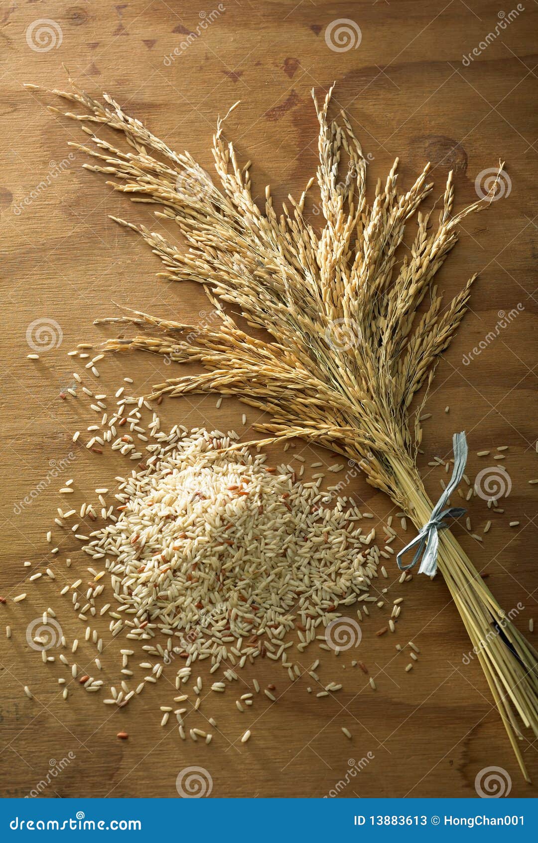 Rice grain stock image. Image of nature, close, nutrition - 13883613