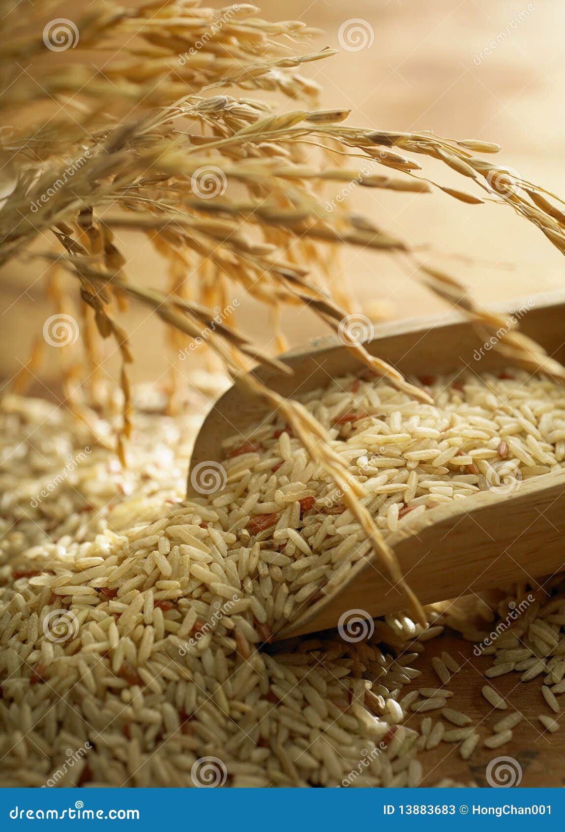 Rice Is A Grain That The World& X27;s Population Consumes As An ...