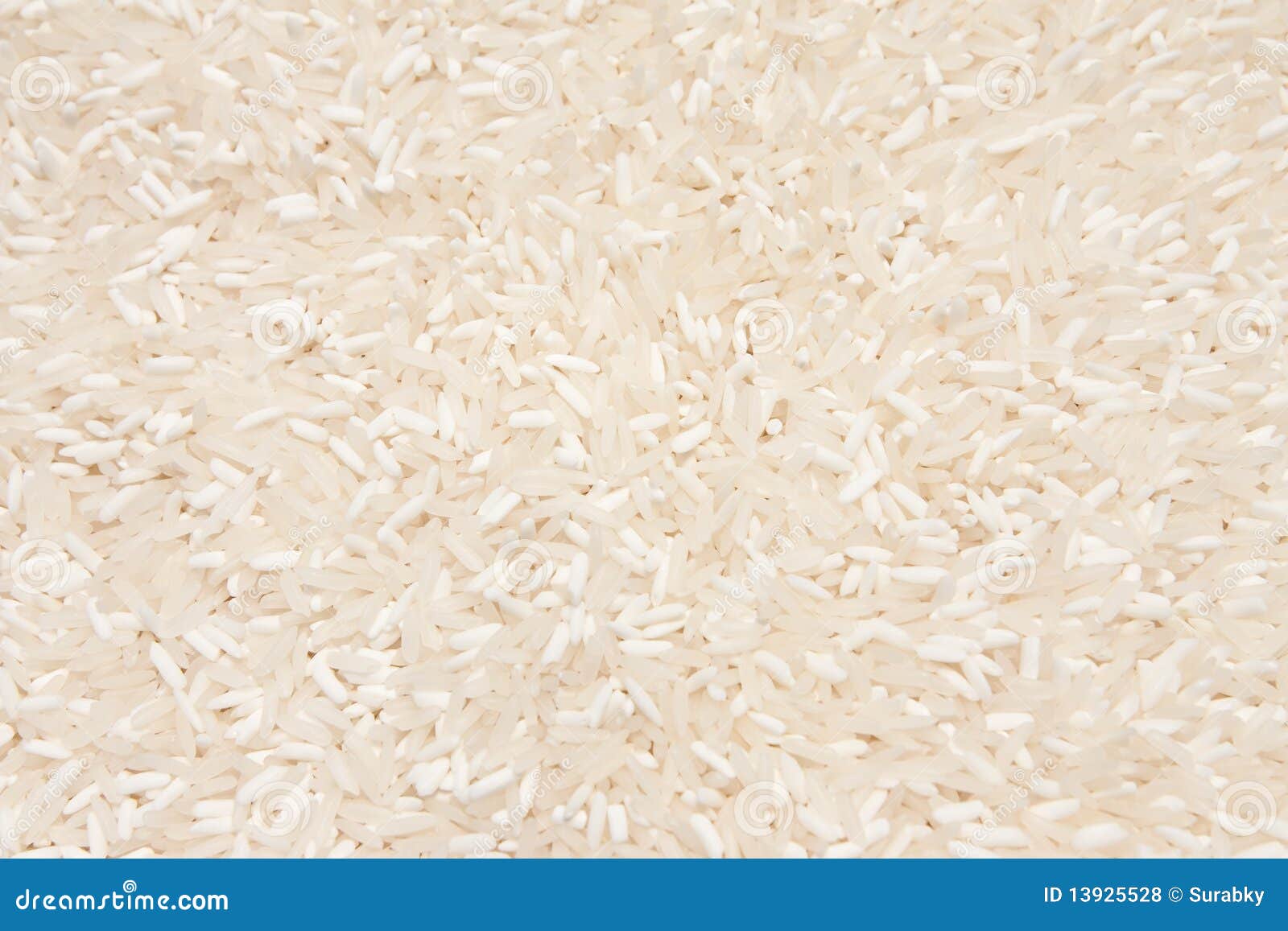 Rice grain stock photo. Image of meal, grain, asian, rice - 13925528