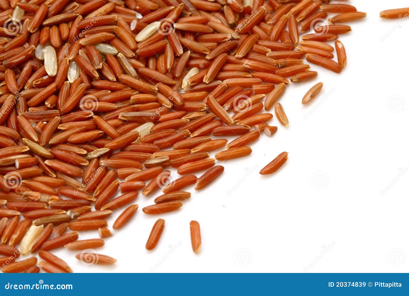 Rice Grain stock image. Image of vegetarian, brown, agriculture - 20374839