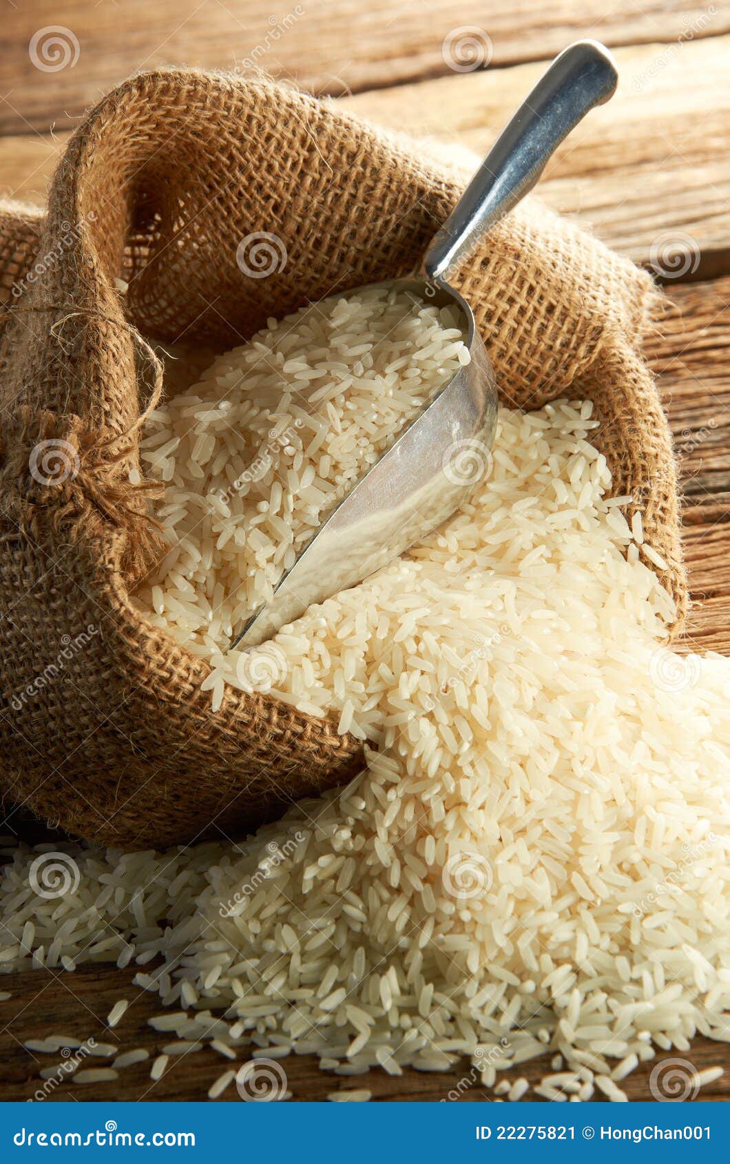 Rice Grain stock image. Image of close, farm, agriculture - 22275821