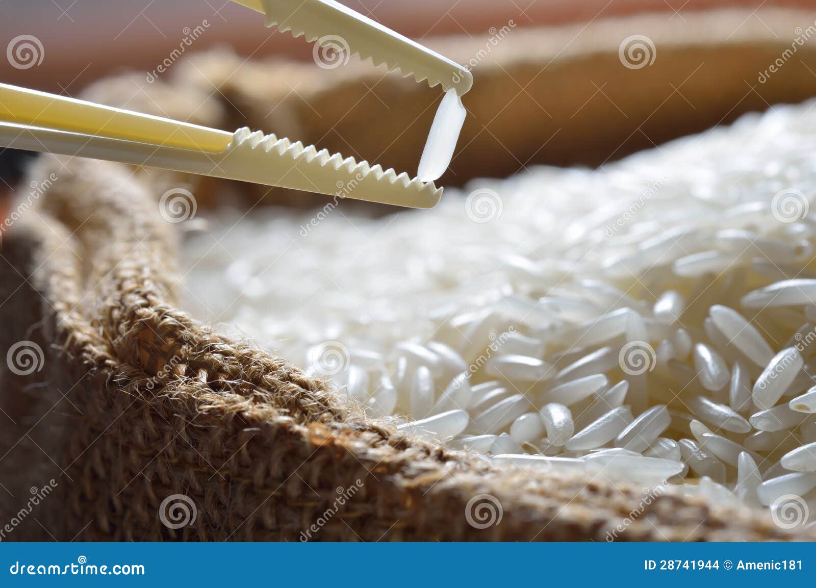 Rice grain stock photo. Image of grained, ingredient - 28741944