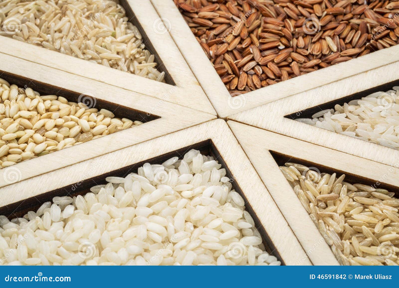 Rice grain abstract stock photo. Image of rice, wild - 46591842